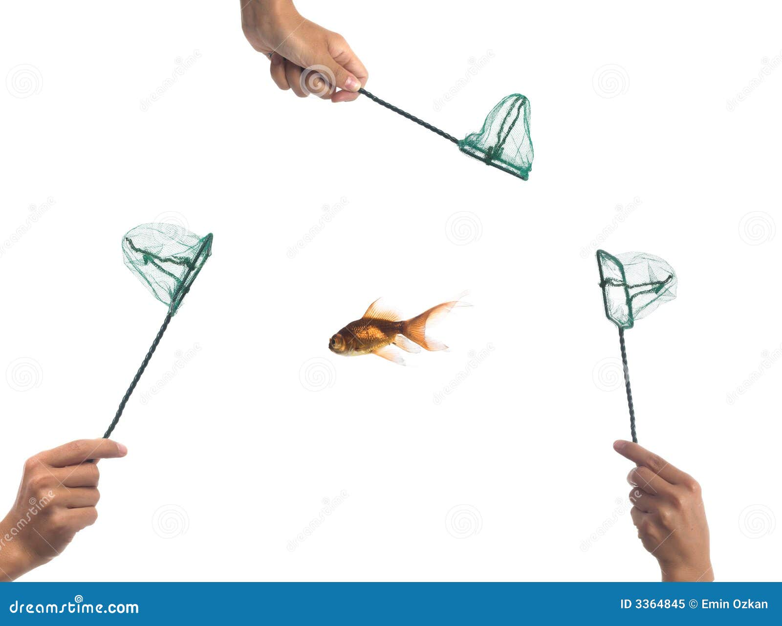 Competition stock image. Image of catching, fish, rivalry - 3364845