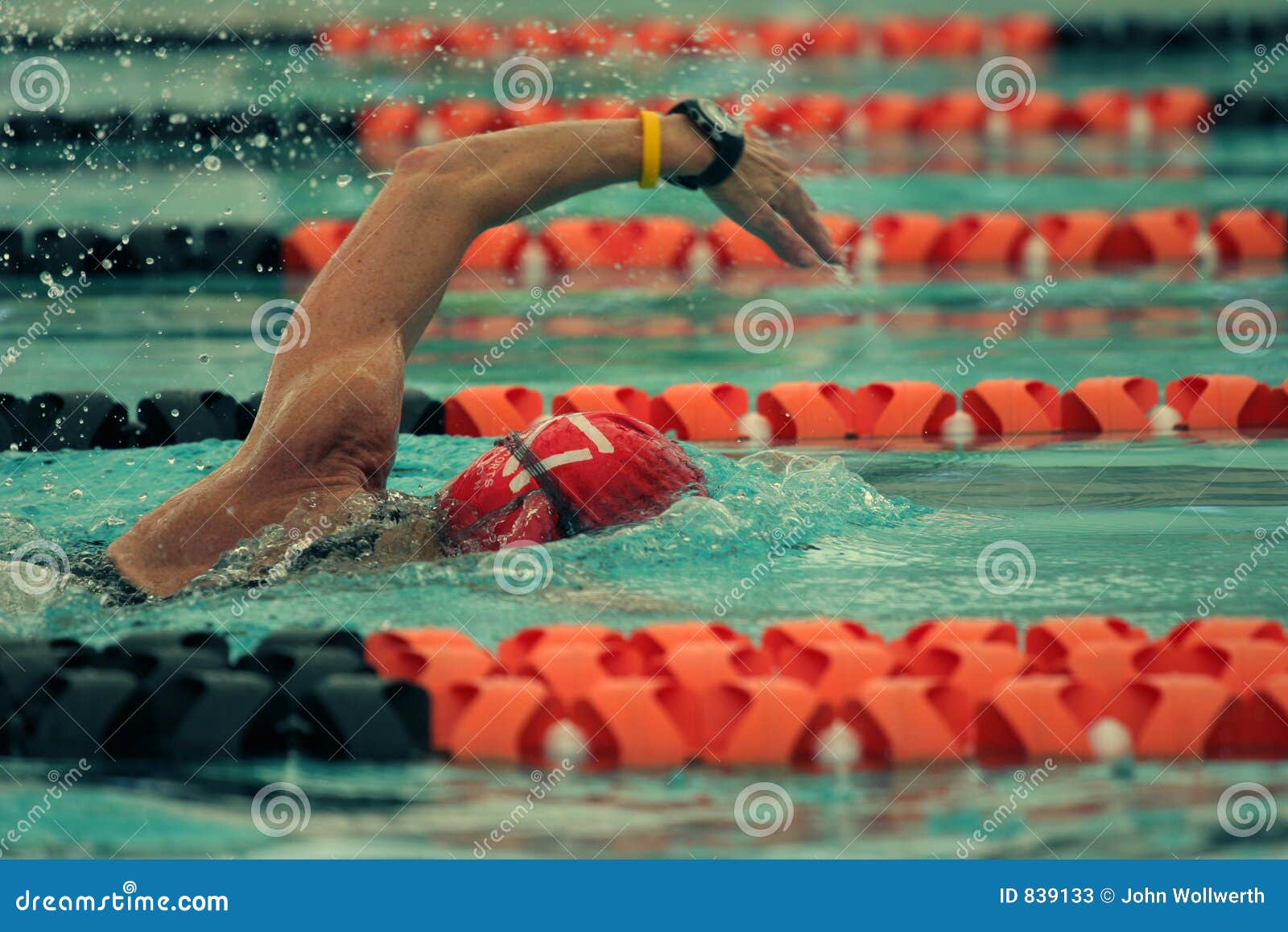 Competition swimmer stock image. Image of stroke, athlete - 839133