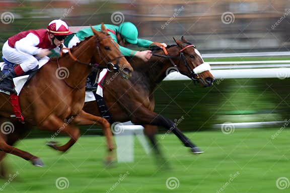 Competition between Two Horses Stock Photo - Image of hippodrome ...