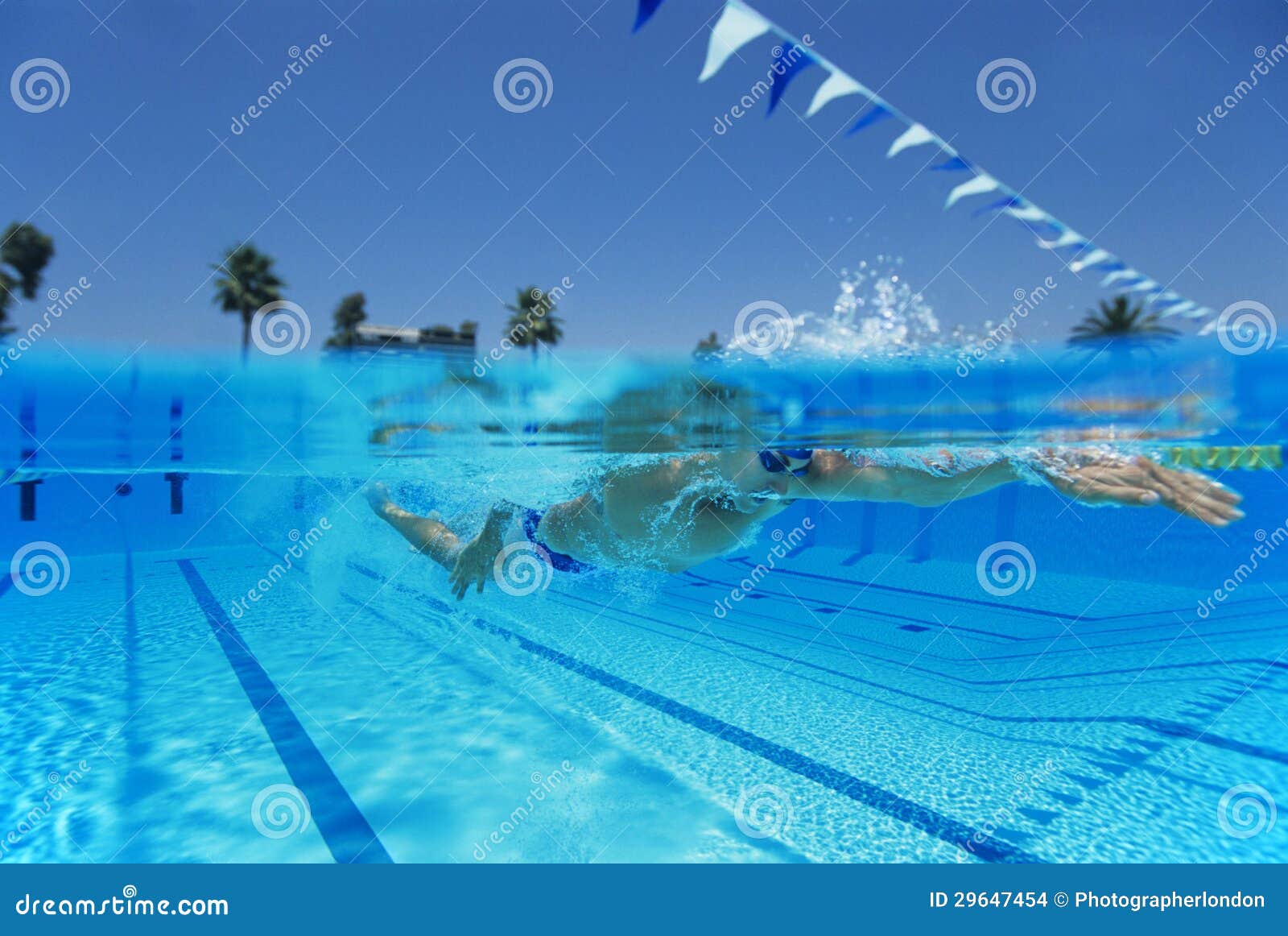 Competitive Male Swimmer stock photo. Image of activity - 29647454
