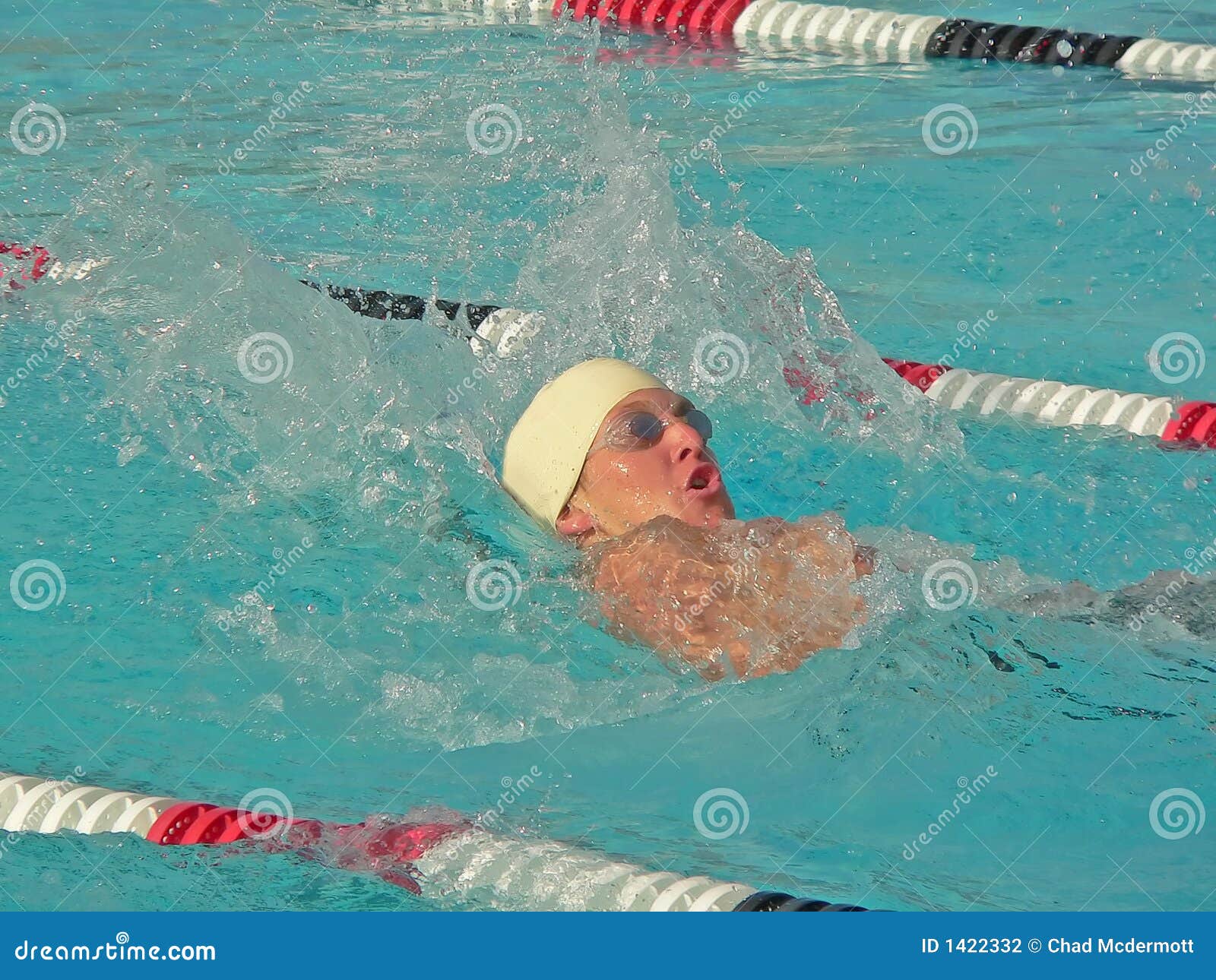 Competitive Swimmer stock photo. Image of breaststroke - 1422332