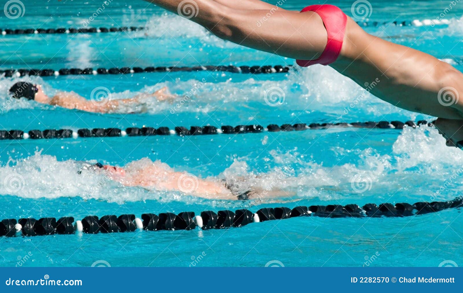 Competitive Swimming Stock Photo - Image: 2282570