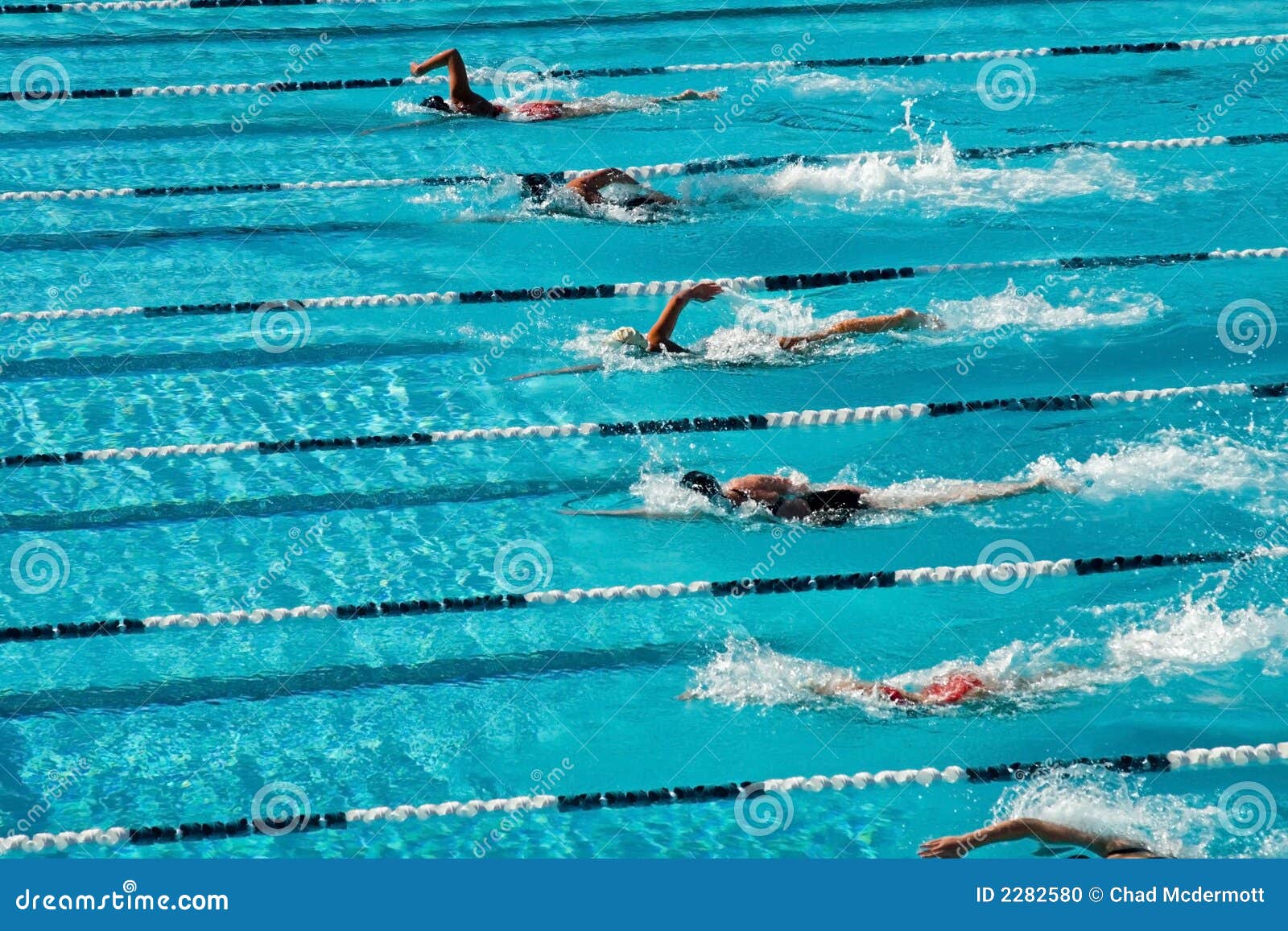 Competitive Swimming stock photo. Image of lane, breaststroke - 2282580