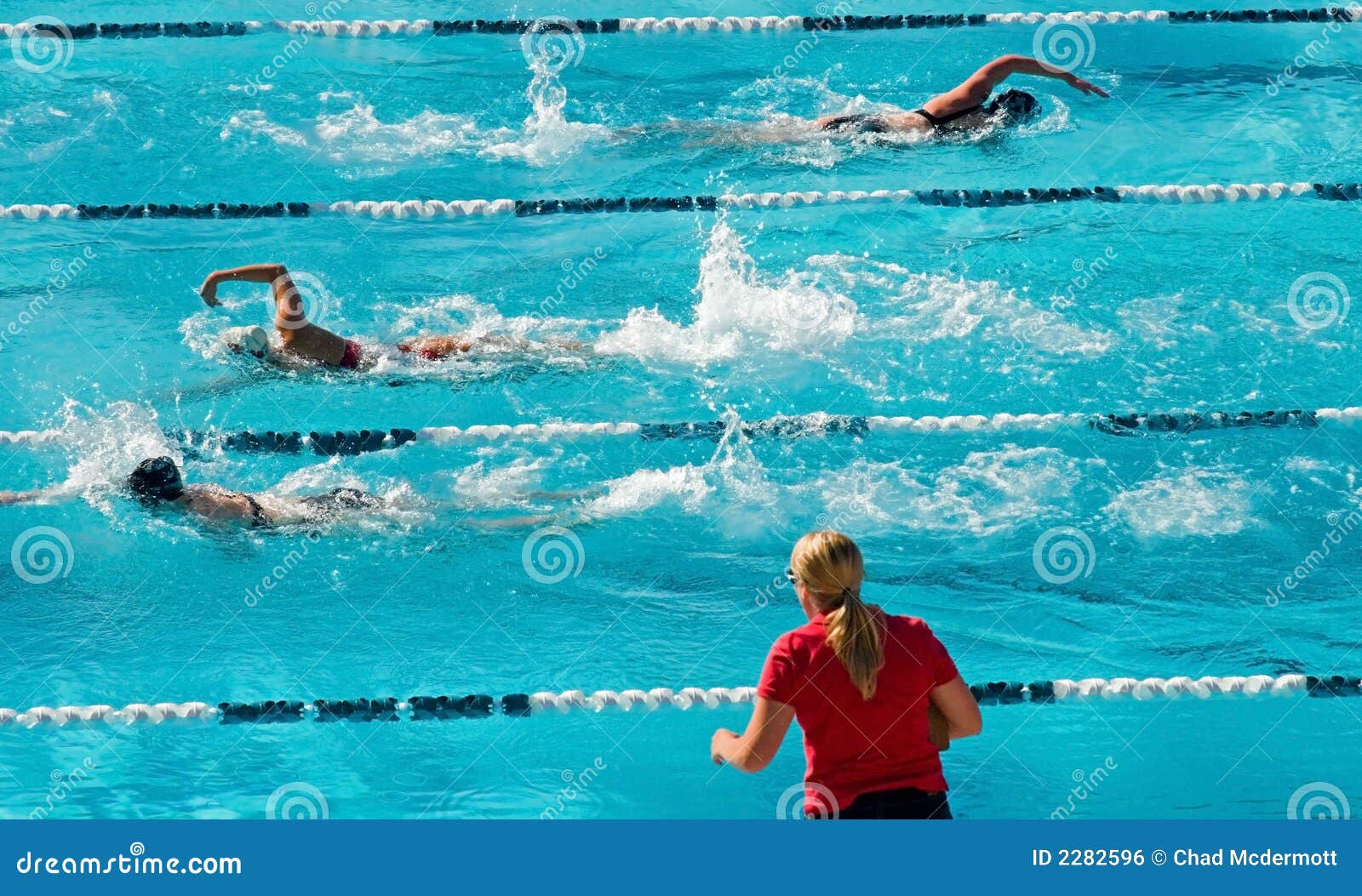 Competitive Swimming stock photo. Image of muscle, determination - 2282596