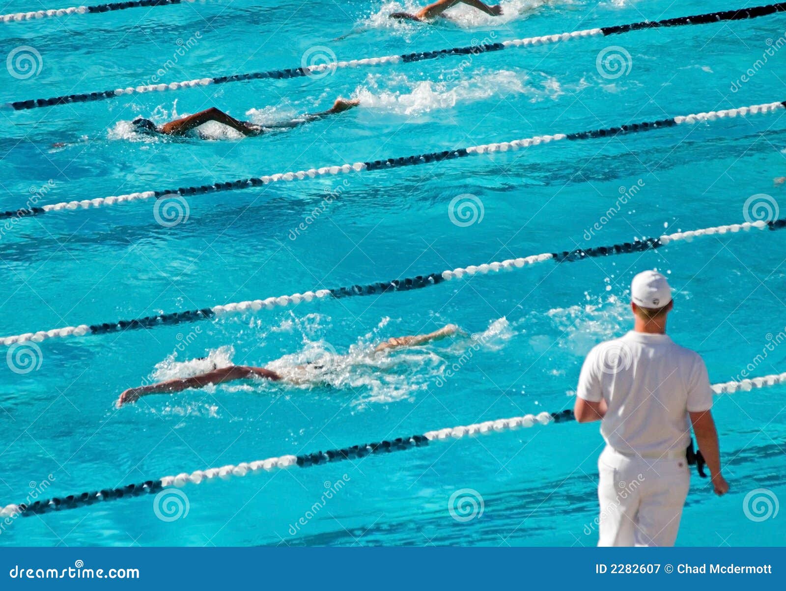 Competitive Swimming stock image. Image of butterfly, power - 2282607