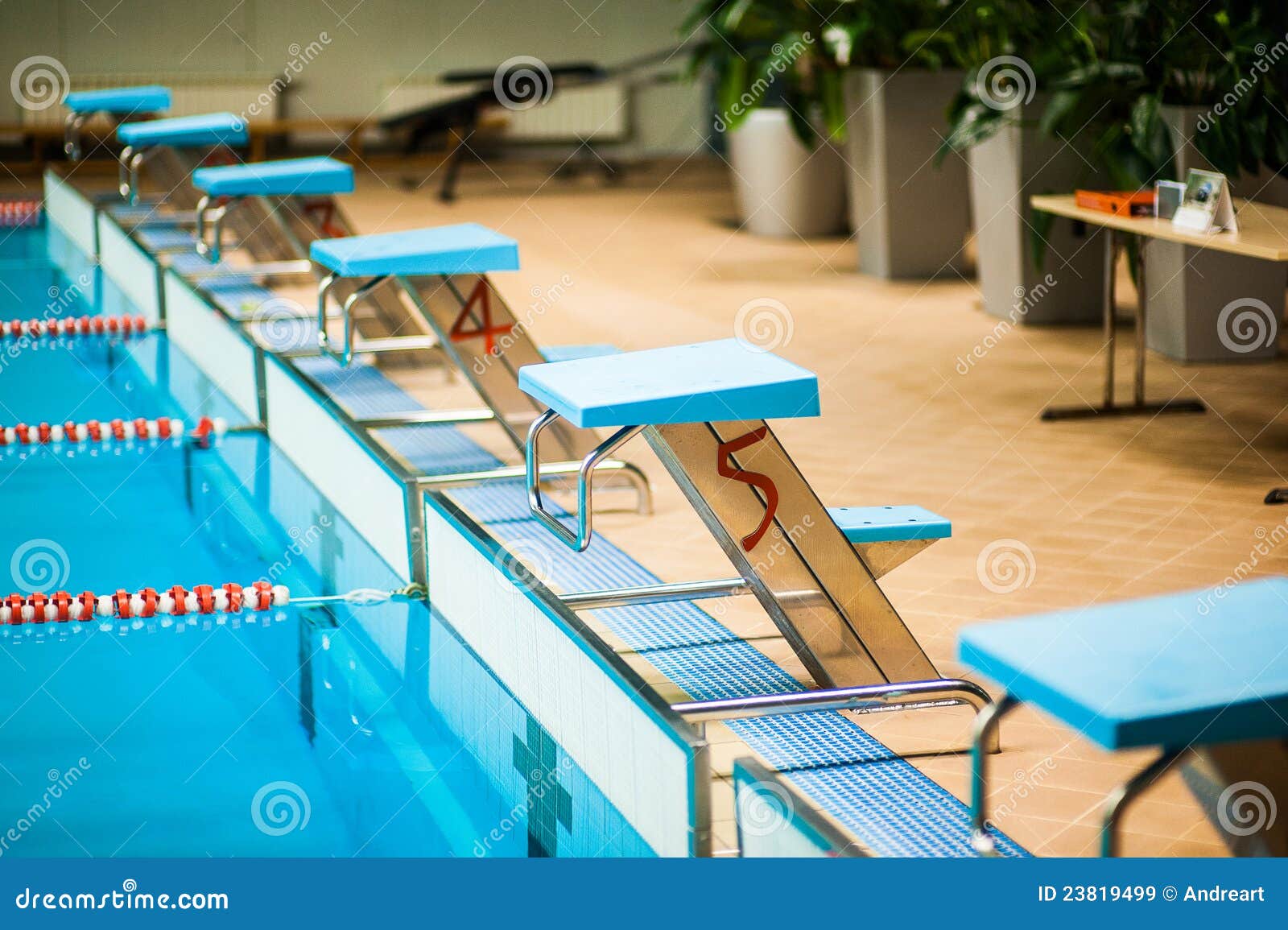Competitive swimming pool stock image. Image of aquatic - 23819499
