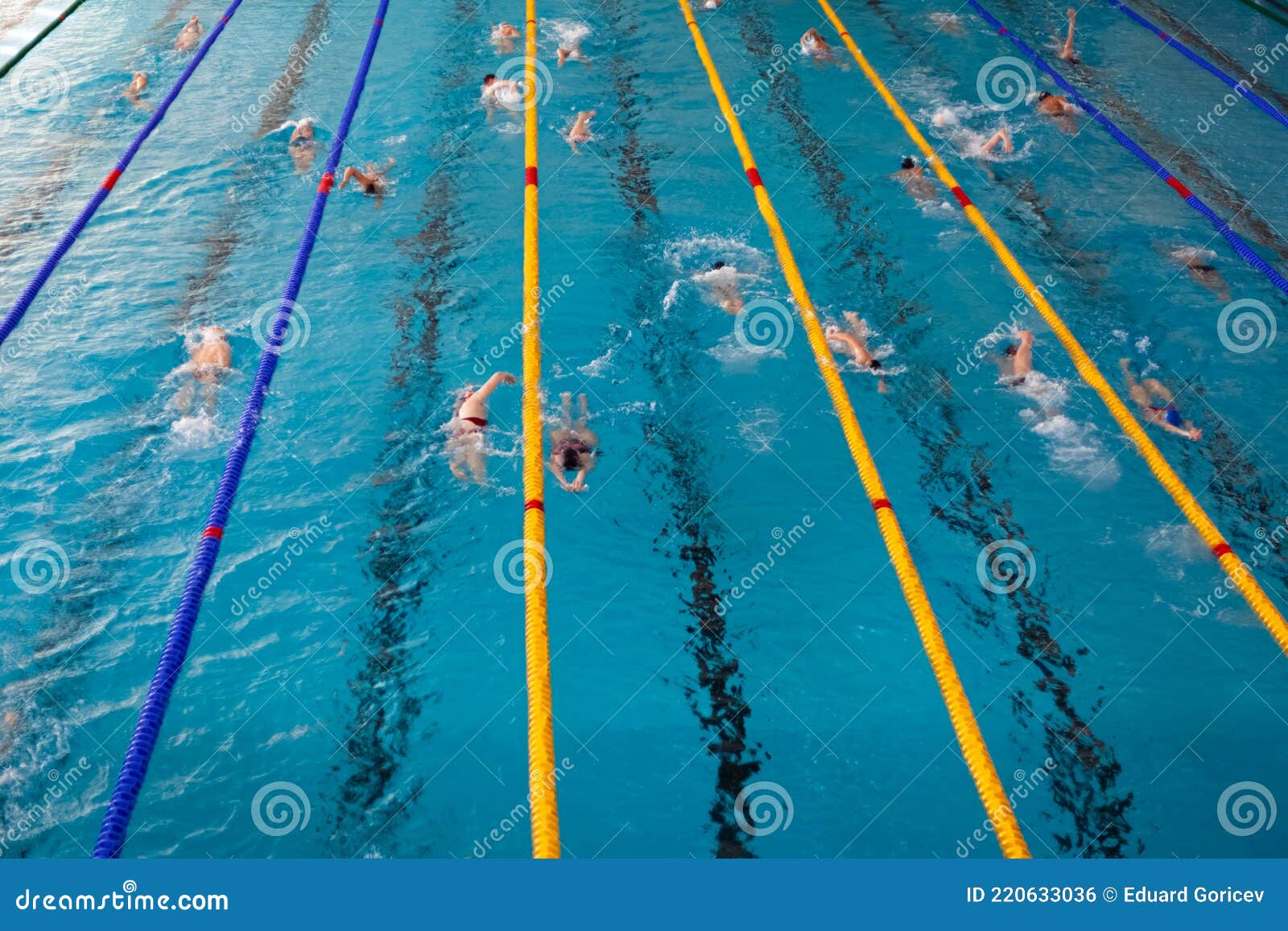 Competitive Swimming in the Pool during Training Stock Photo - Image of ...
