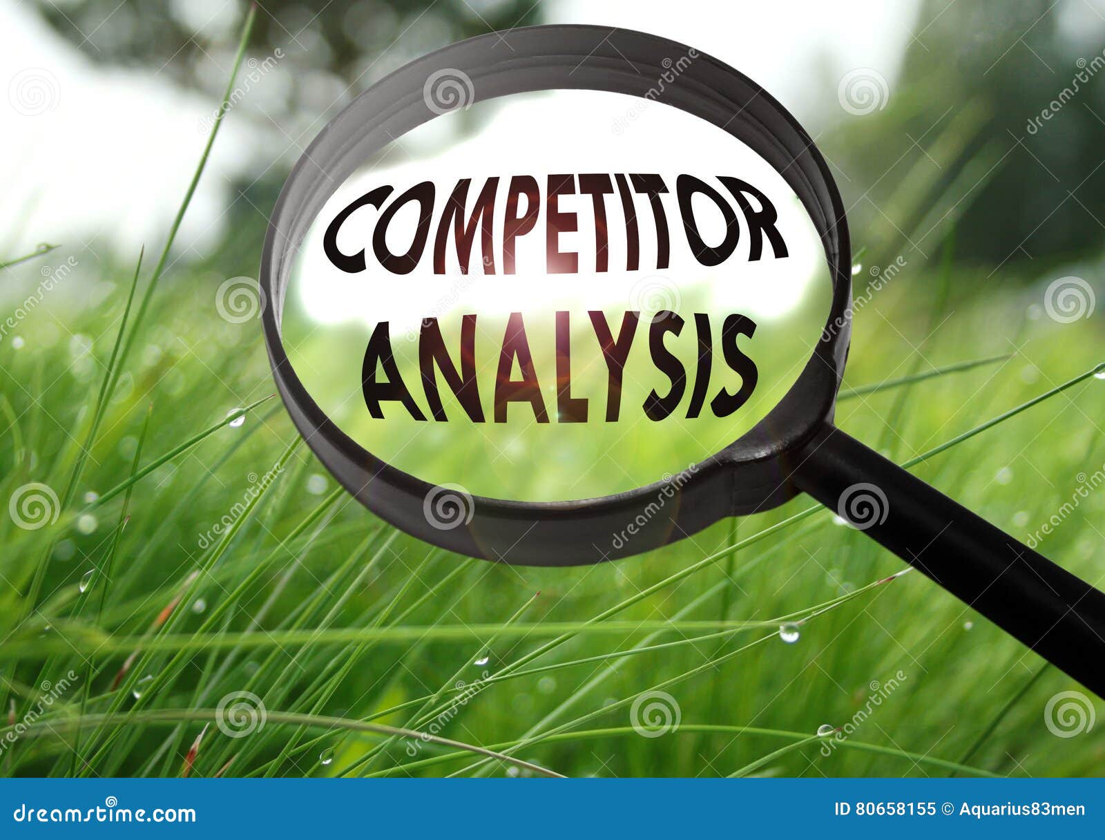 Competitor analysis stock image. Image of nature, analyze - 80658155