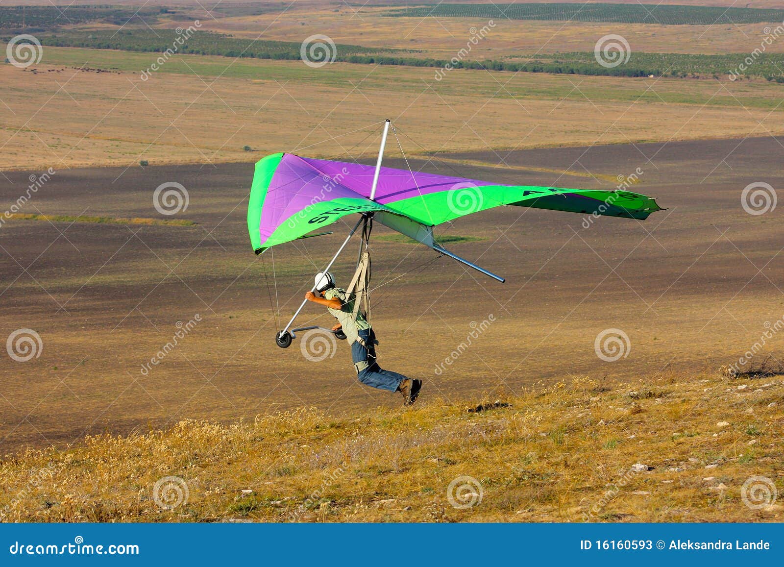 Competitor of the Hang Gliding Competitio Editorial Stock Photo - Image ...