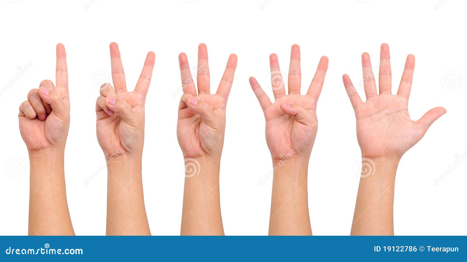 Compilation of hands stock photo. Image of symbol, single - 19122786