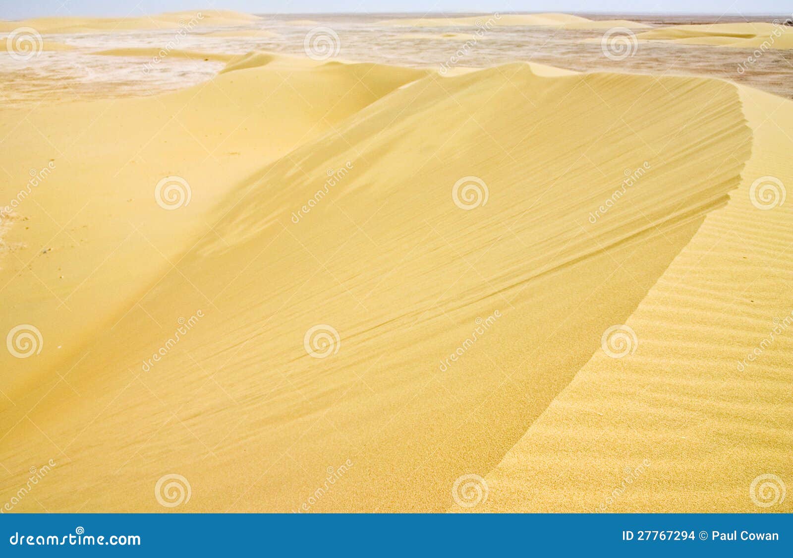 Complejo De La Duna De Barchan En Qatar Foto de archivo - Imagen de ...