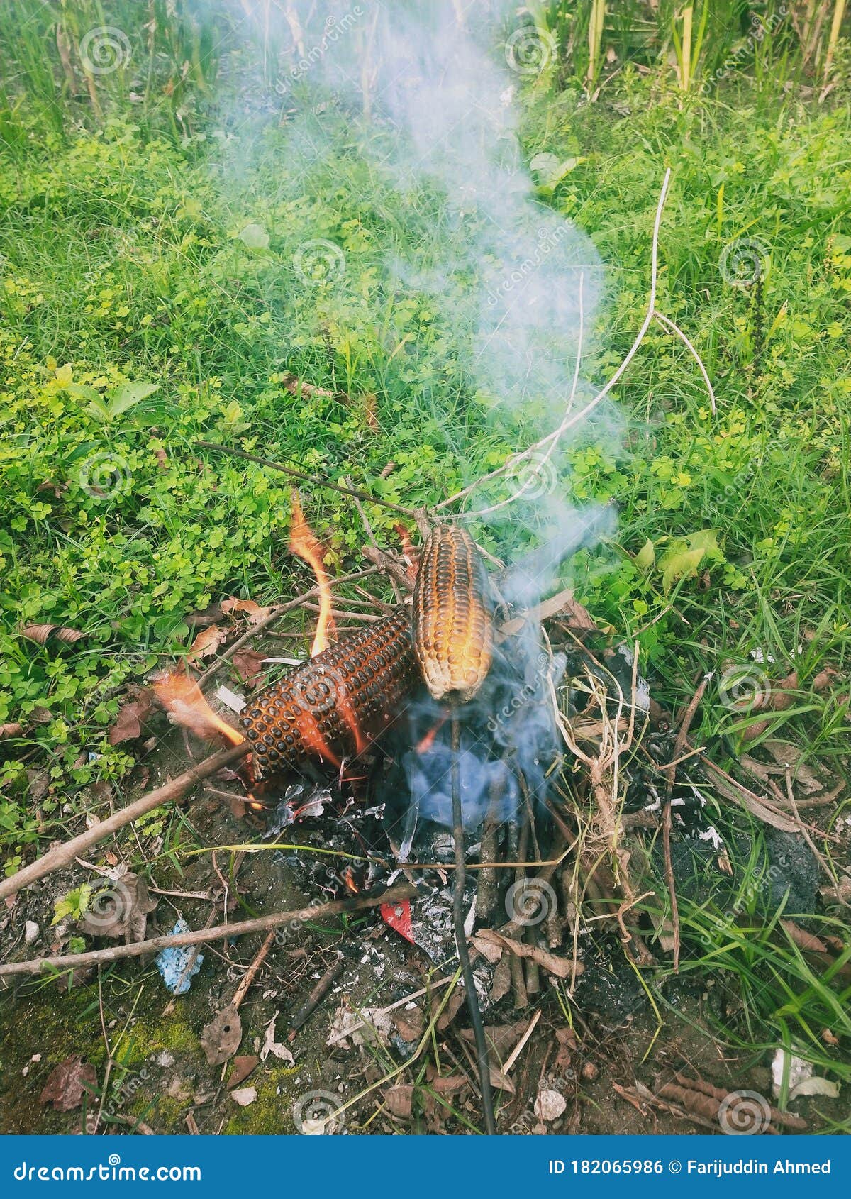 Complete Burning Corn on Fire Smoke Stock Photo - Image of green, fire ...