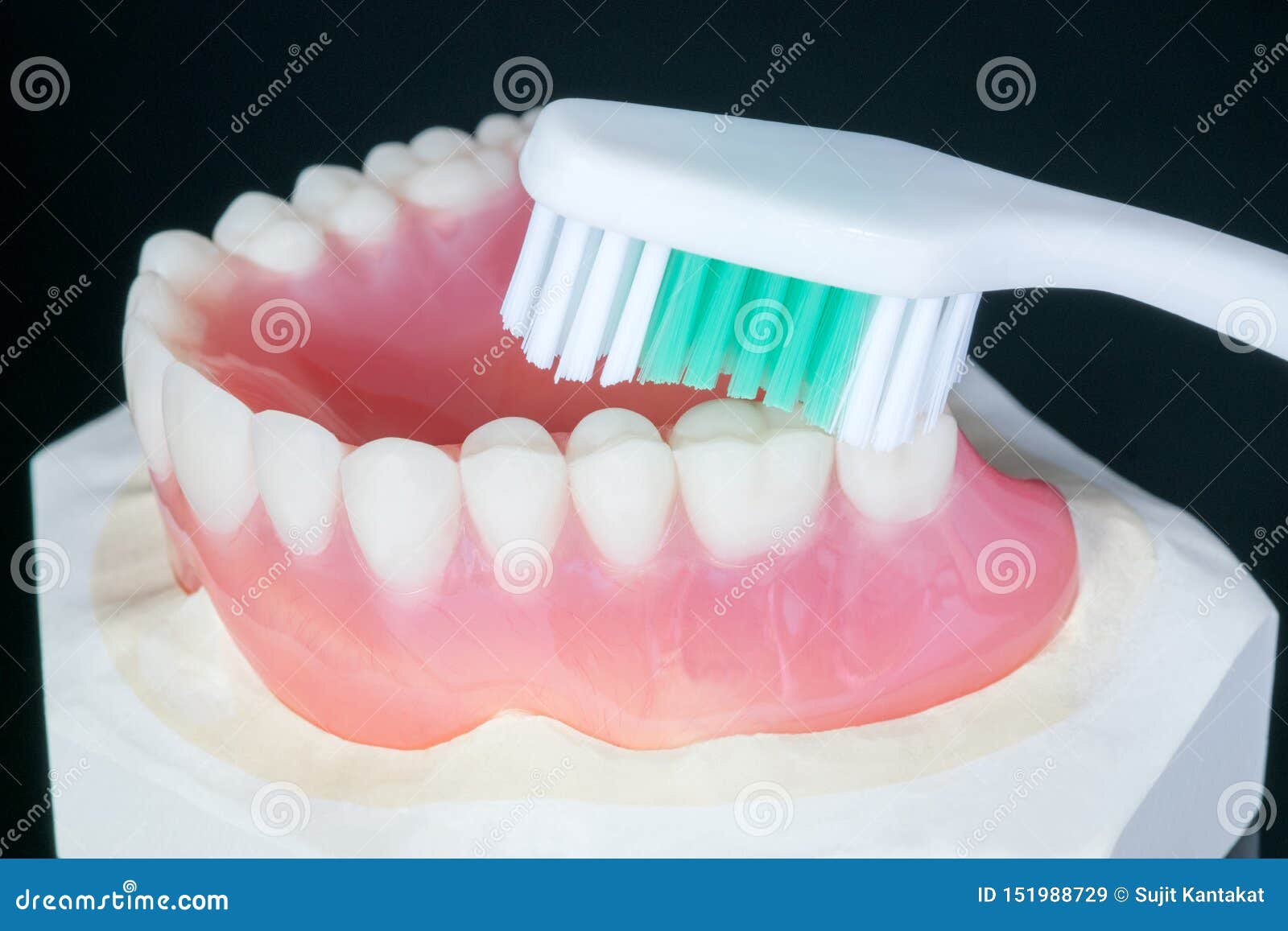 Complete Denture or Full Denture. Stock Image - Image of teeth ...