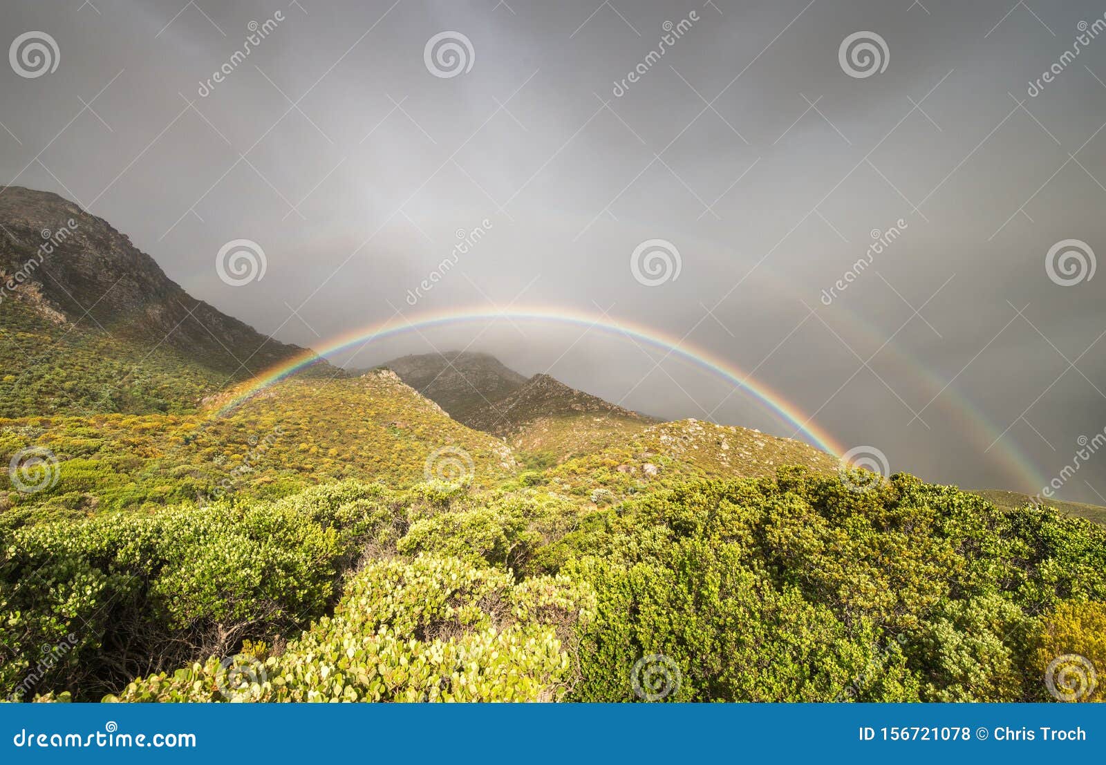 The Complete Dramatic Double Rainbow. Stock Photo - Image of plants ...