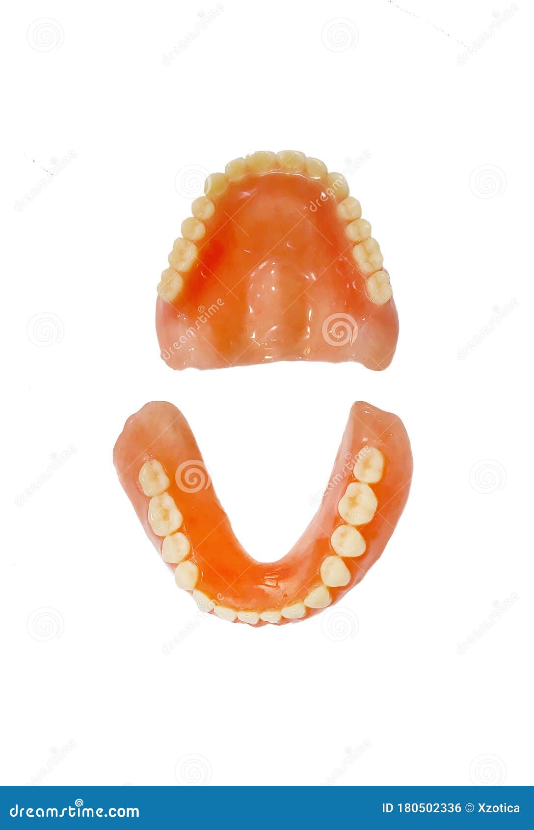 Complete Full Dentures Isolated on White Background Stock Photo - Image ...
