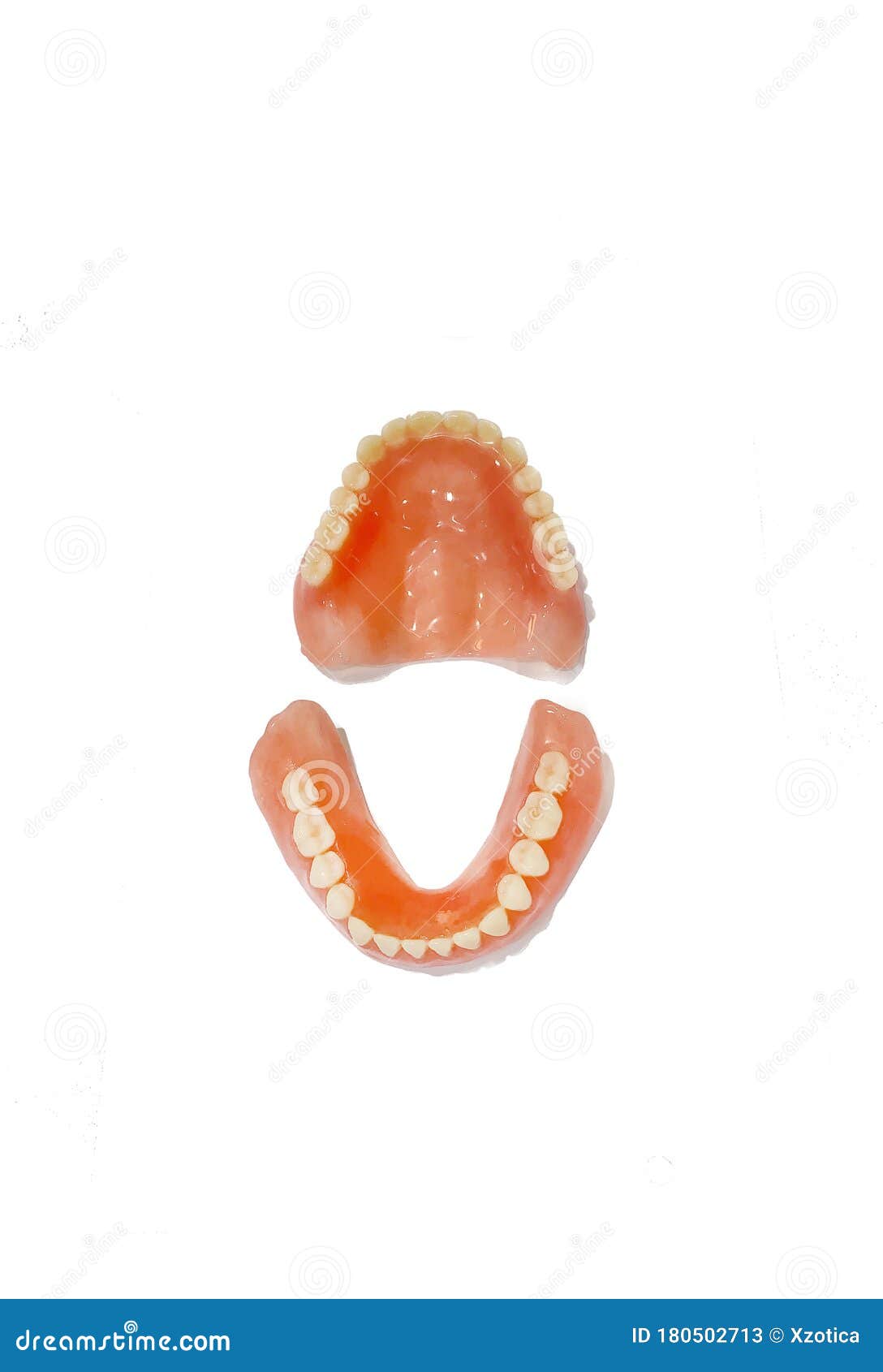 Complete Full Dentures Isolated on White Background Stock Image - Image ...