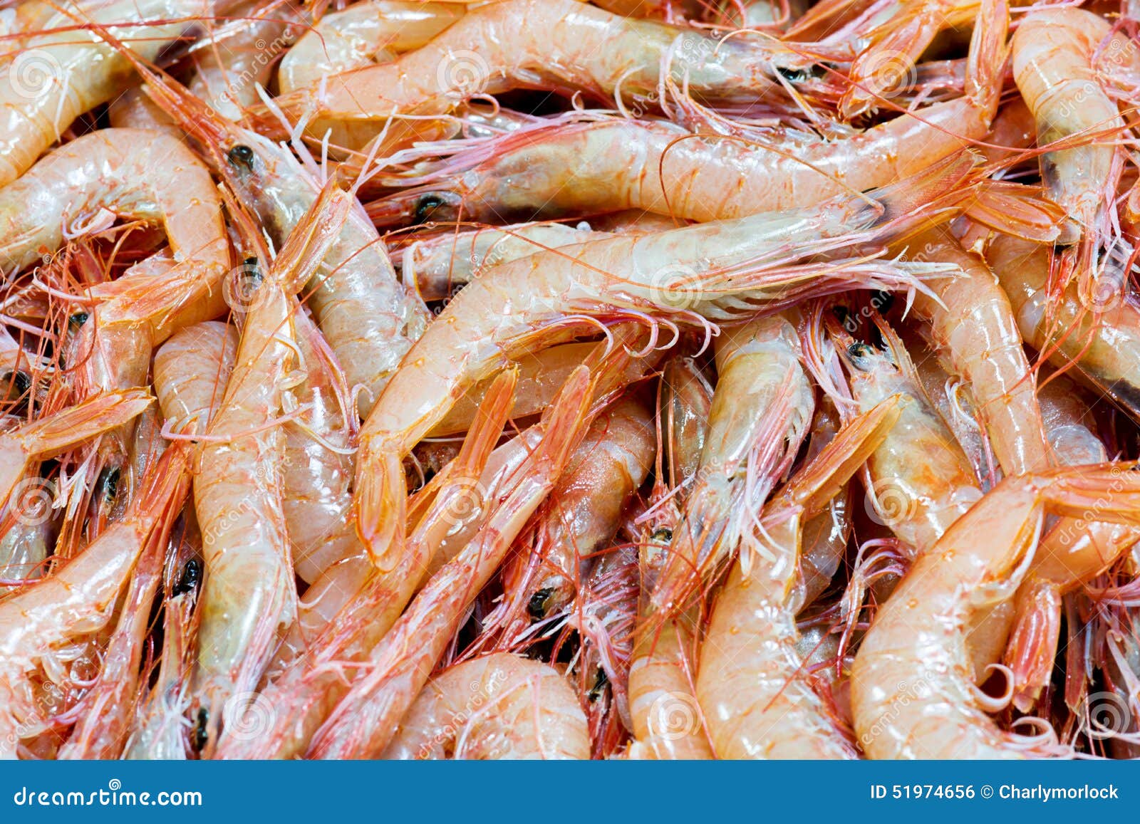 Complete Picture of Sea Prawns Stock Photo - Image of orange, cold ...