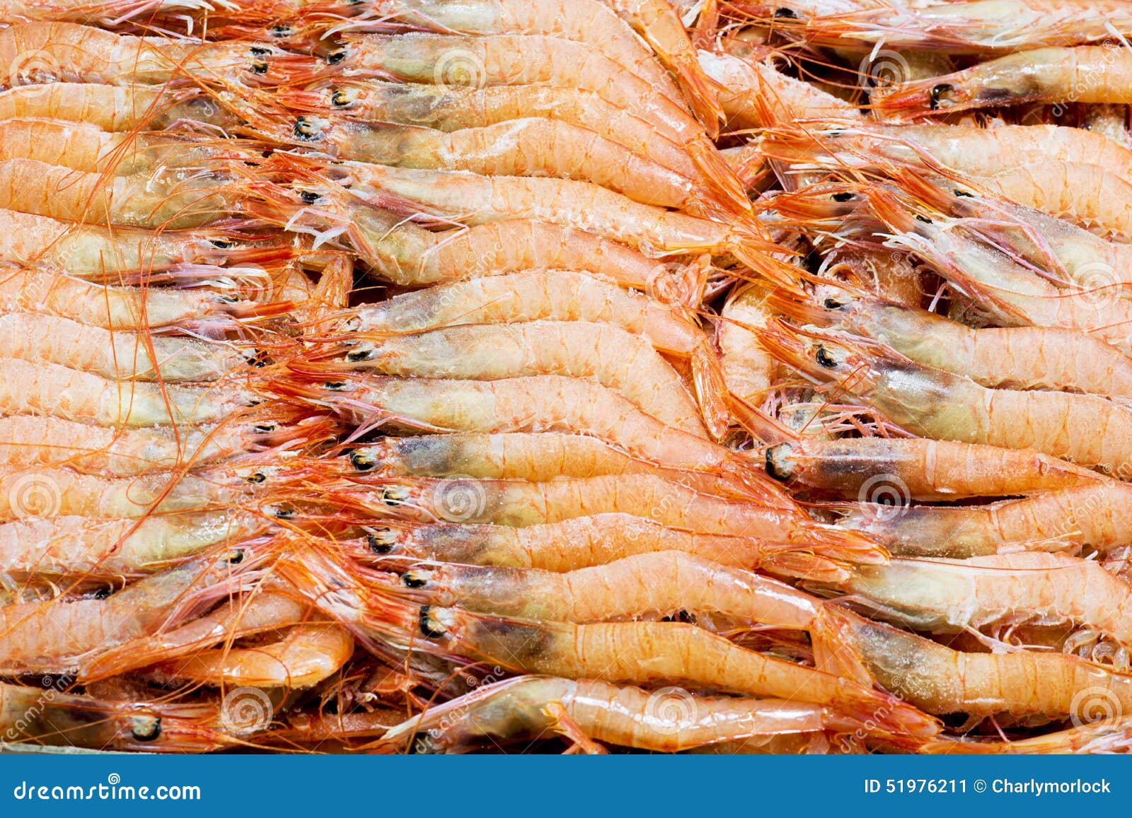 Complete Picture of Sea Prawns Stock Image - Image of complete, food ...