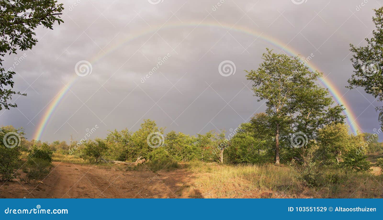 Complete Rainbow in the Bush after a Rain Storm Stock Image - Image of ...