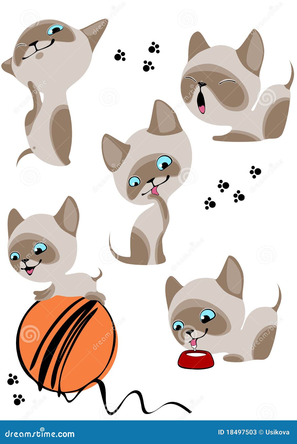 The Complete Set of Cheerful Siamese Kittens Stock Vector ...