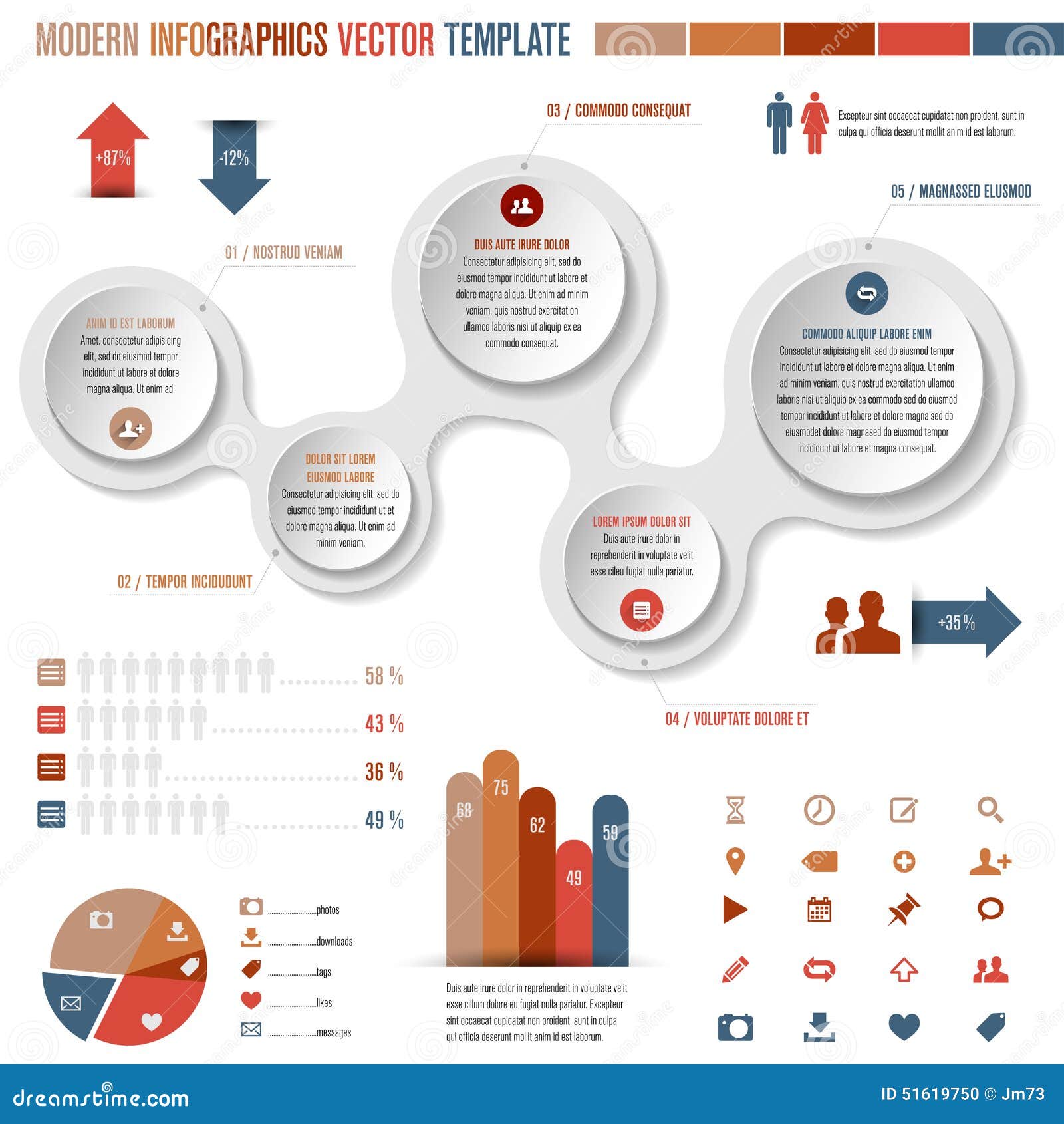Complete Template for Modern Infographics Stock Vector - Illustration ...