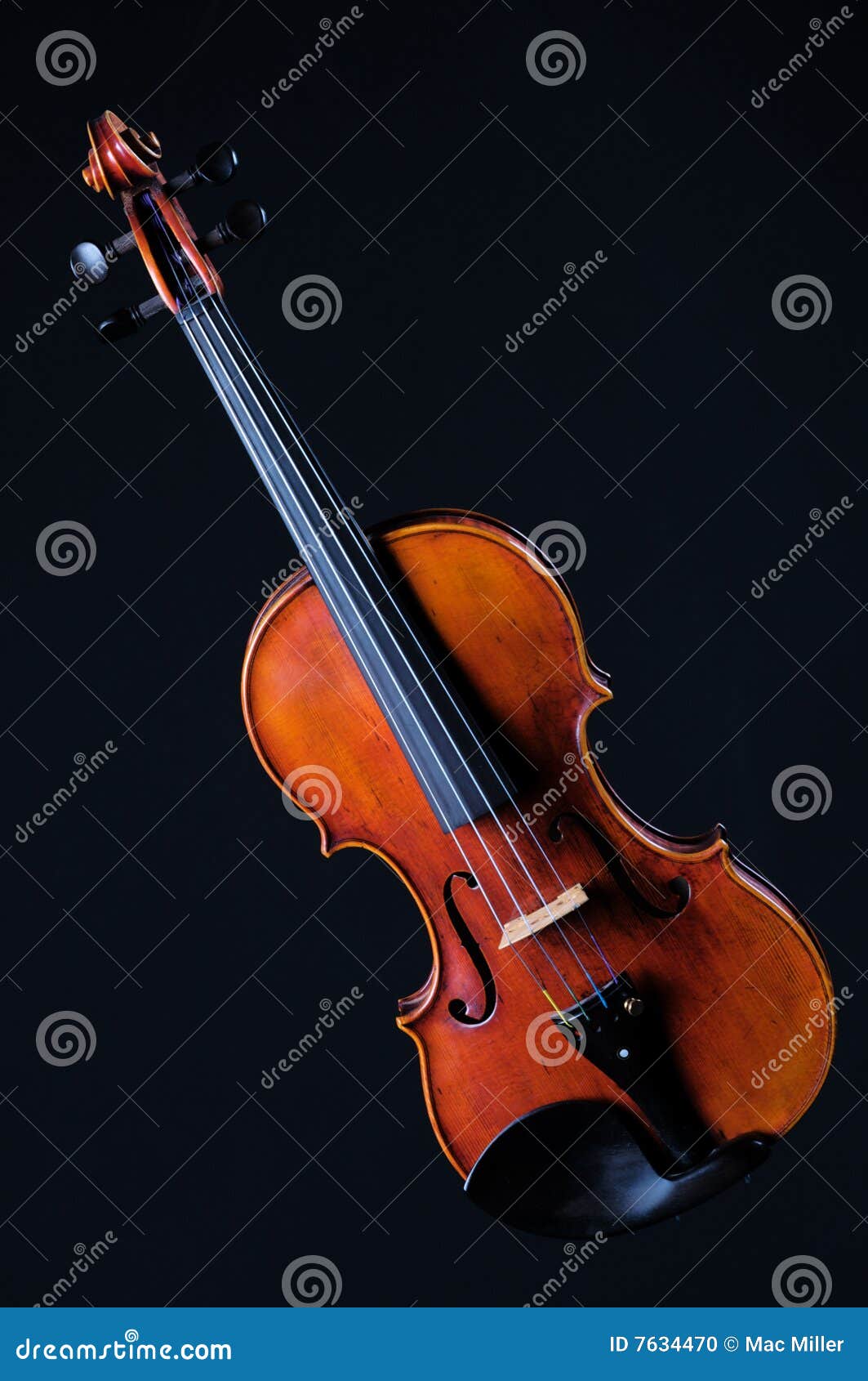 Complete Violin Viola on Black Stock Photo - Image of resin, beauty ...