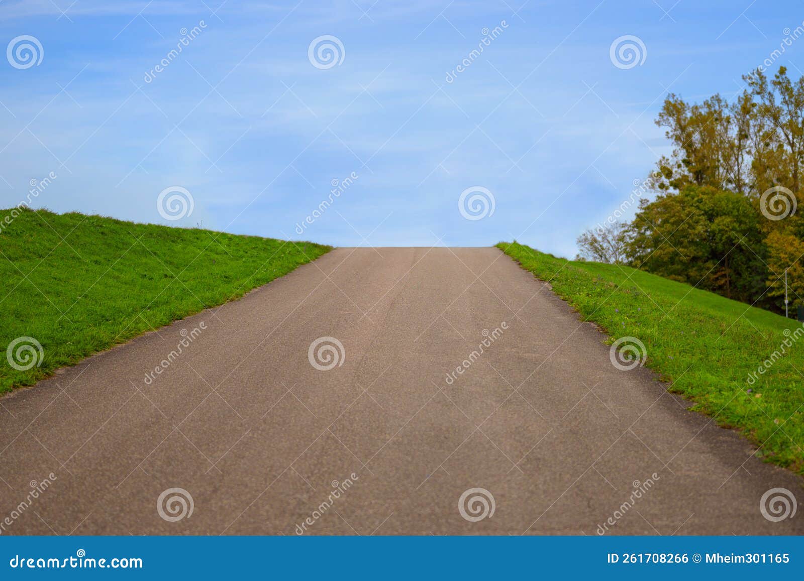 Completely Empty Bird Feeder Stock Image | CartoonDealer.com #187581847