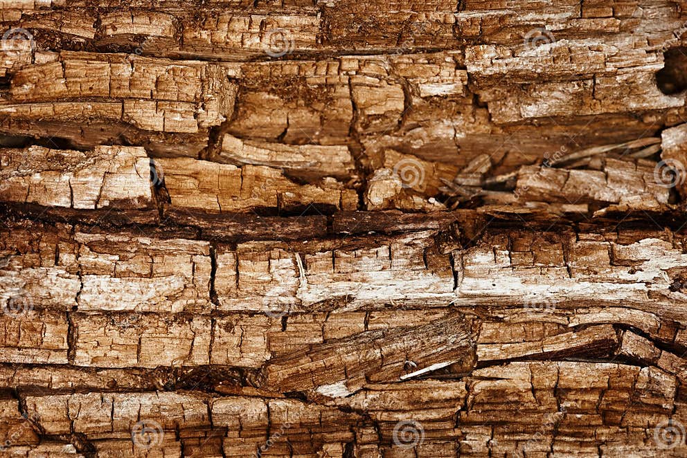 Completely rotted wood stock image. Image of rusty, background - 34760687