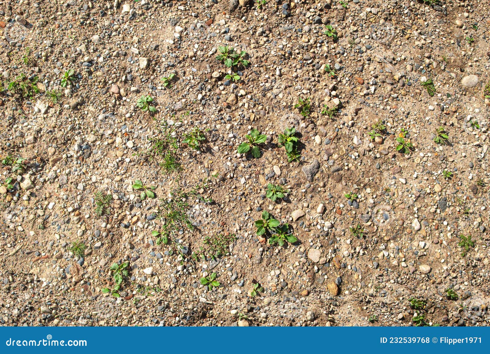 Completely Seamless Sand Texture, Sandy Soil Texture, Texture for ...