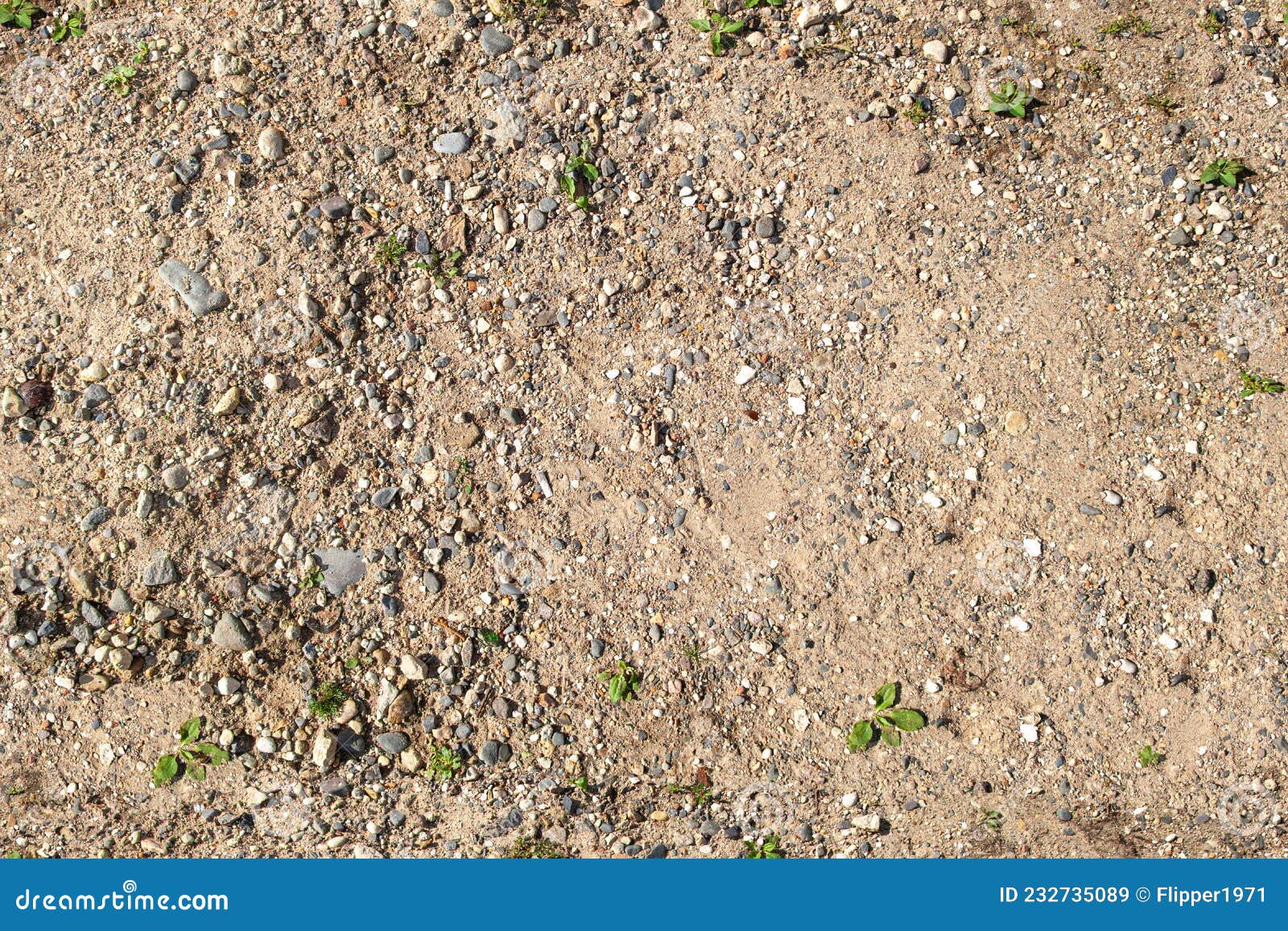 Completely Seamless Sand Texture, Sandy Soil Texture, Texture for ...