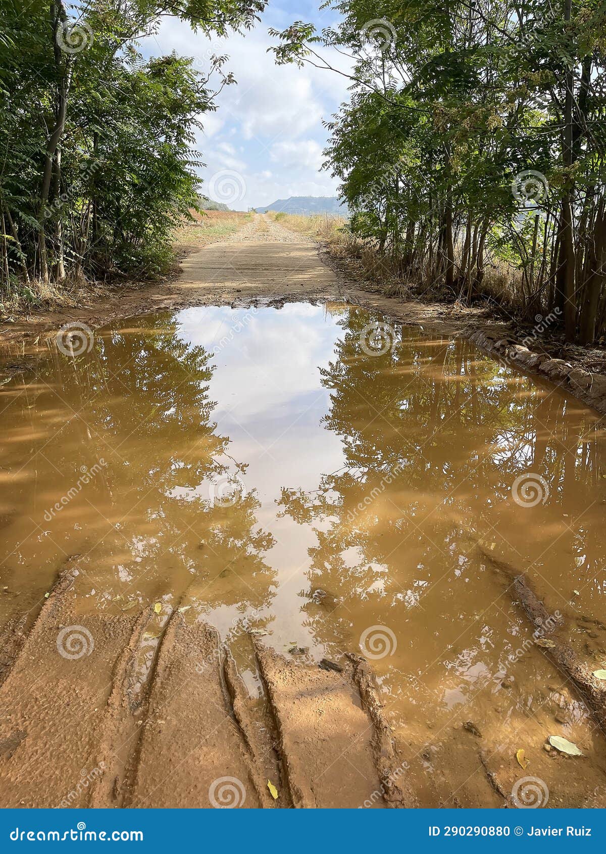 A Completely Waterlogged Dirt Road with a Puddle, Vehicles Rolling in ...