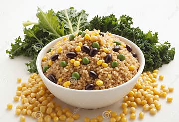 Complex Carbohydrates Food Sources Stock Illustration - Illustration of ...