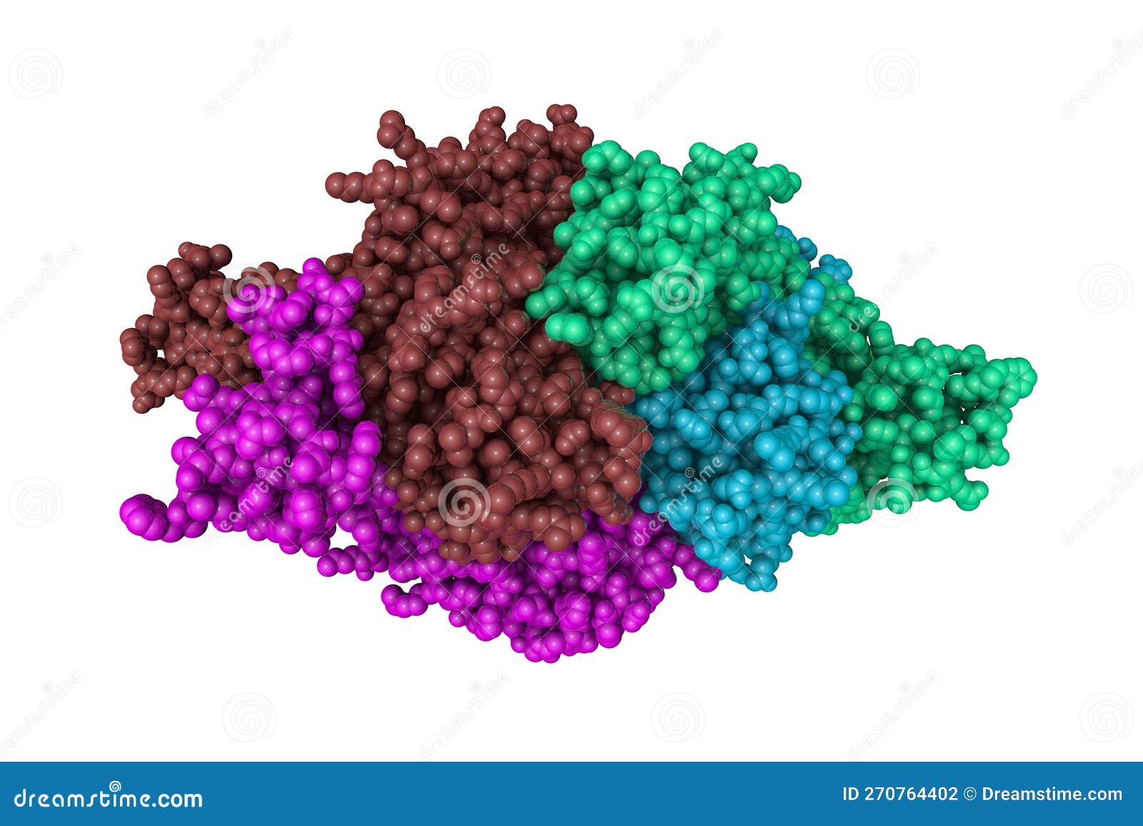 Complex of the Catalytic Portion of Human HMG-CoA Reductase with HMG ...