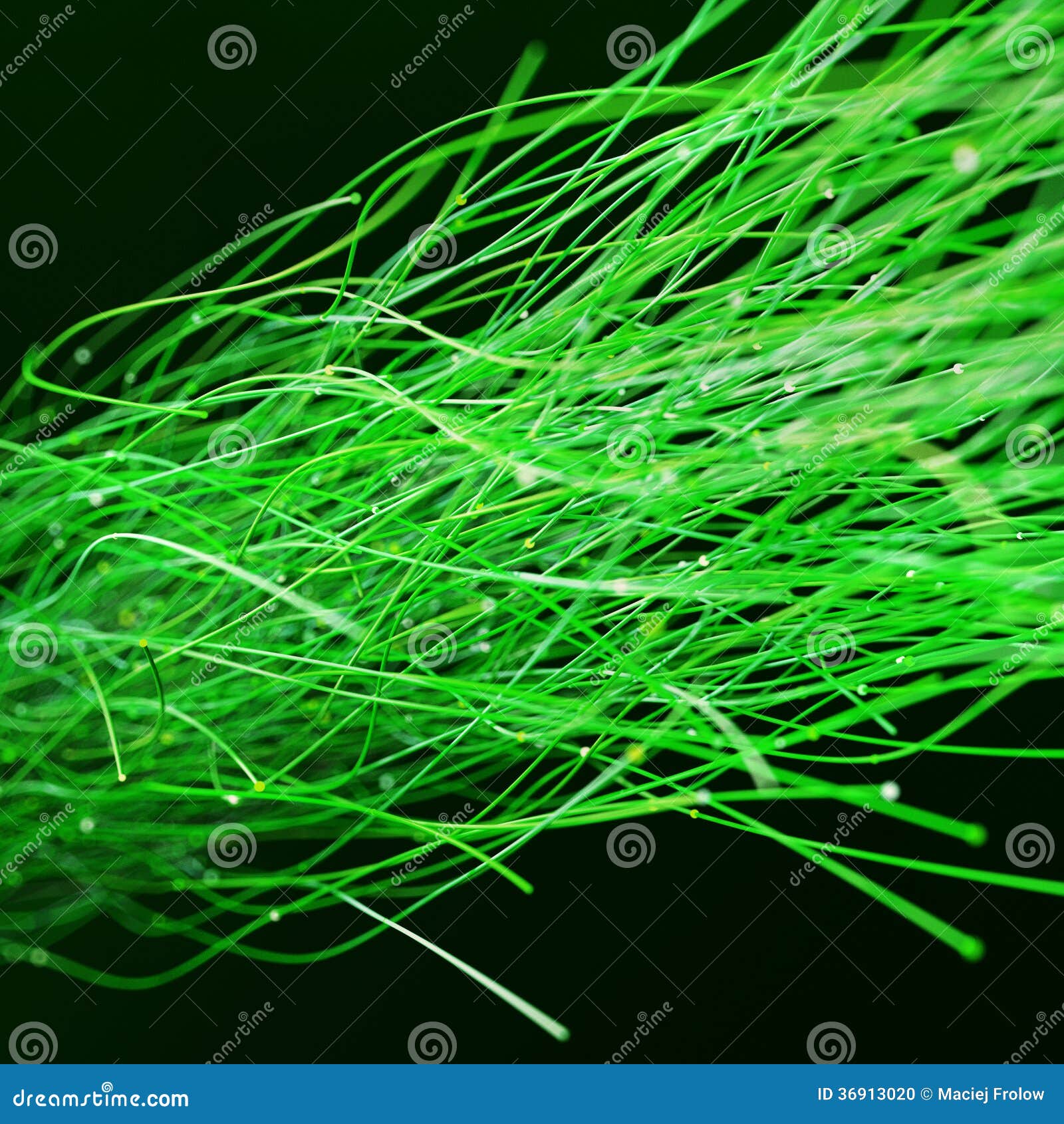 Complex fiberoptics cables stock photo. Image of fiberoptics - 36913020
