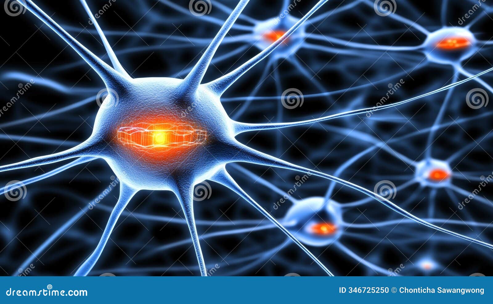The Complex Network of Neurons, Firing and Transmitting Vital Signals ...