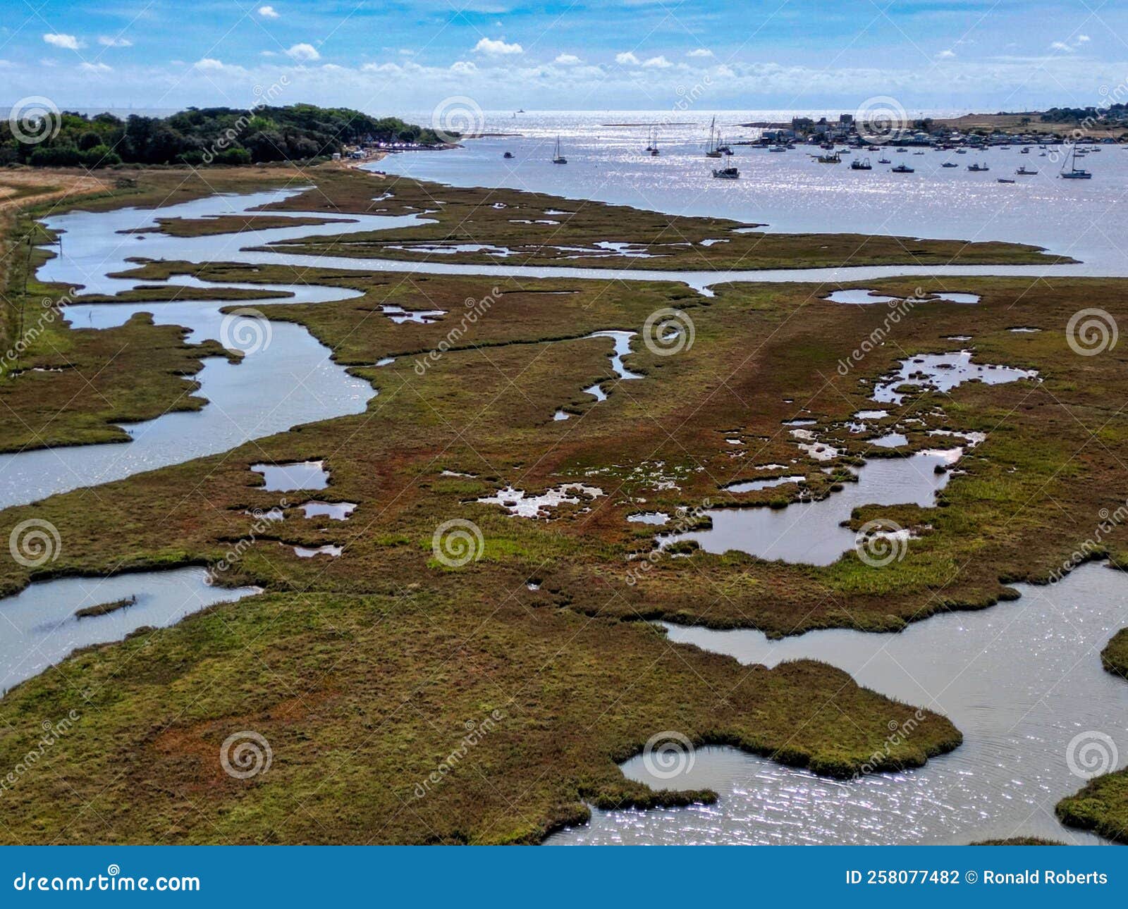 Complex River Marshland Aerial View Stock Photo - Image of grass ...