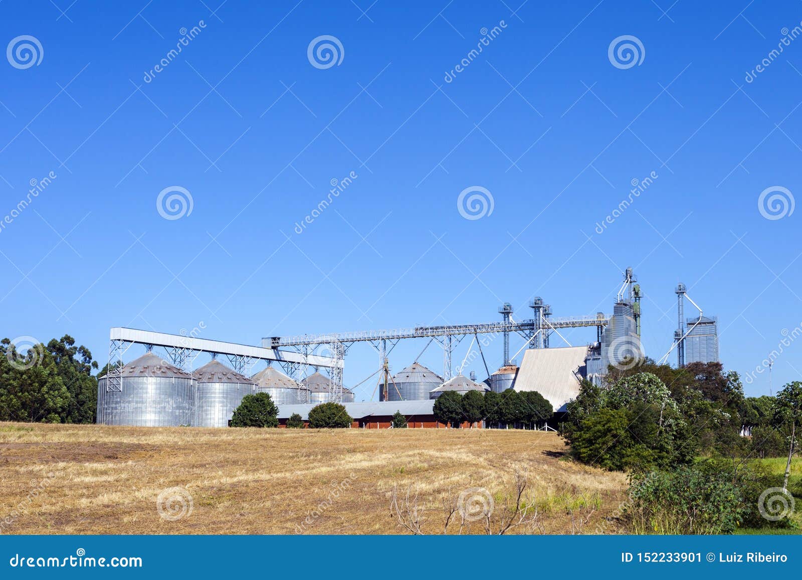 The Complex Silo Installations Storage of Grain Stock Image - Image of ...
