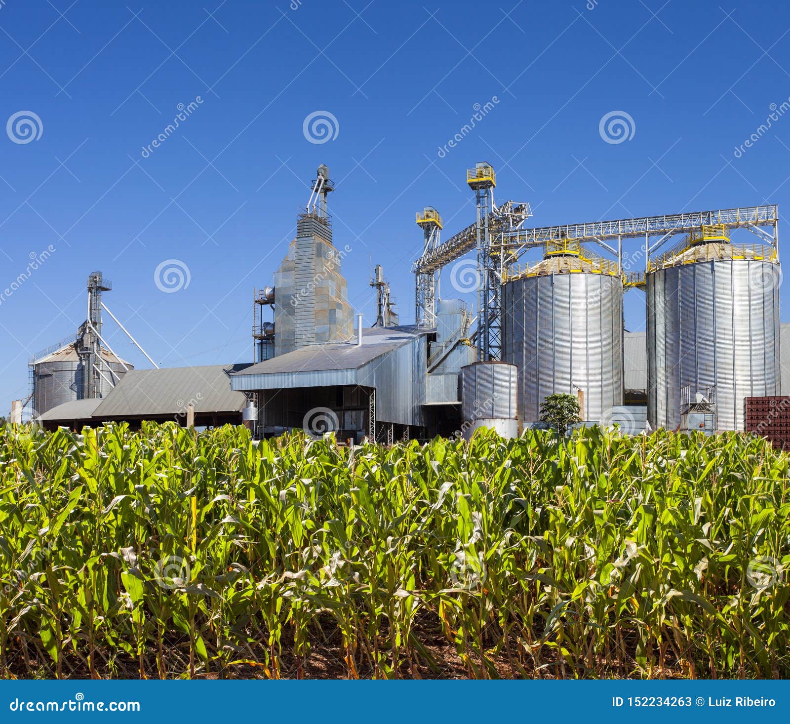 The Complex Silo Installations for the Storage Grain Stock Image ...