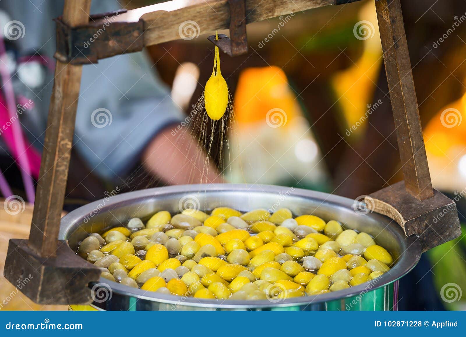 How to made silk. stock photo. Image of natural, nature - 102871228