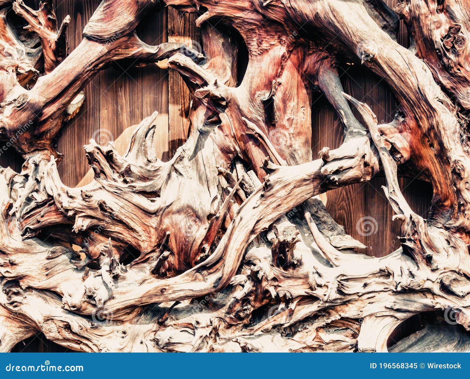 Complex Tree Roots Texture for Background Stock Image - Image of wood ...