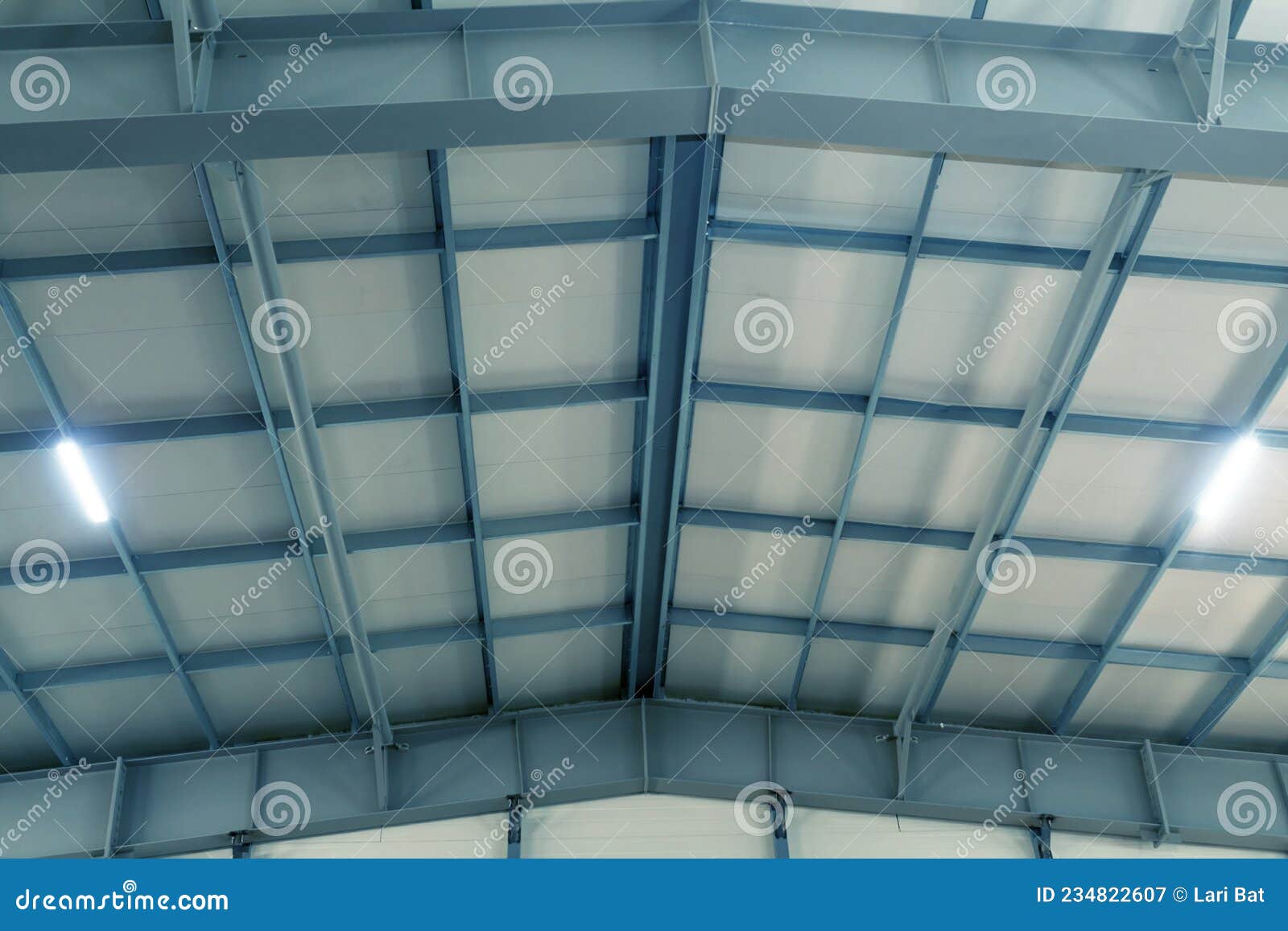 Complex Vaulted Ceiling with Crossbars Beams Ceilings Inside Factory ...