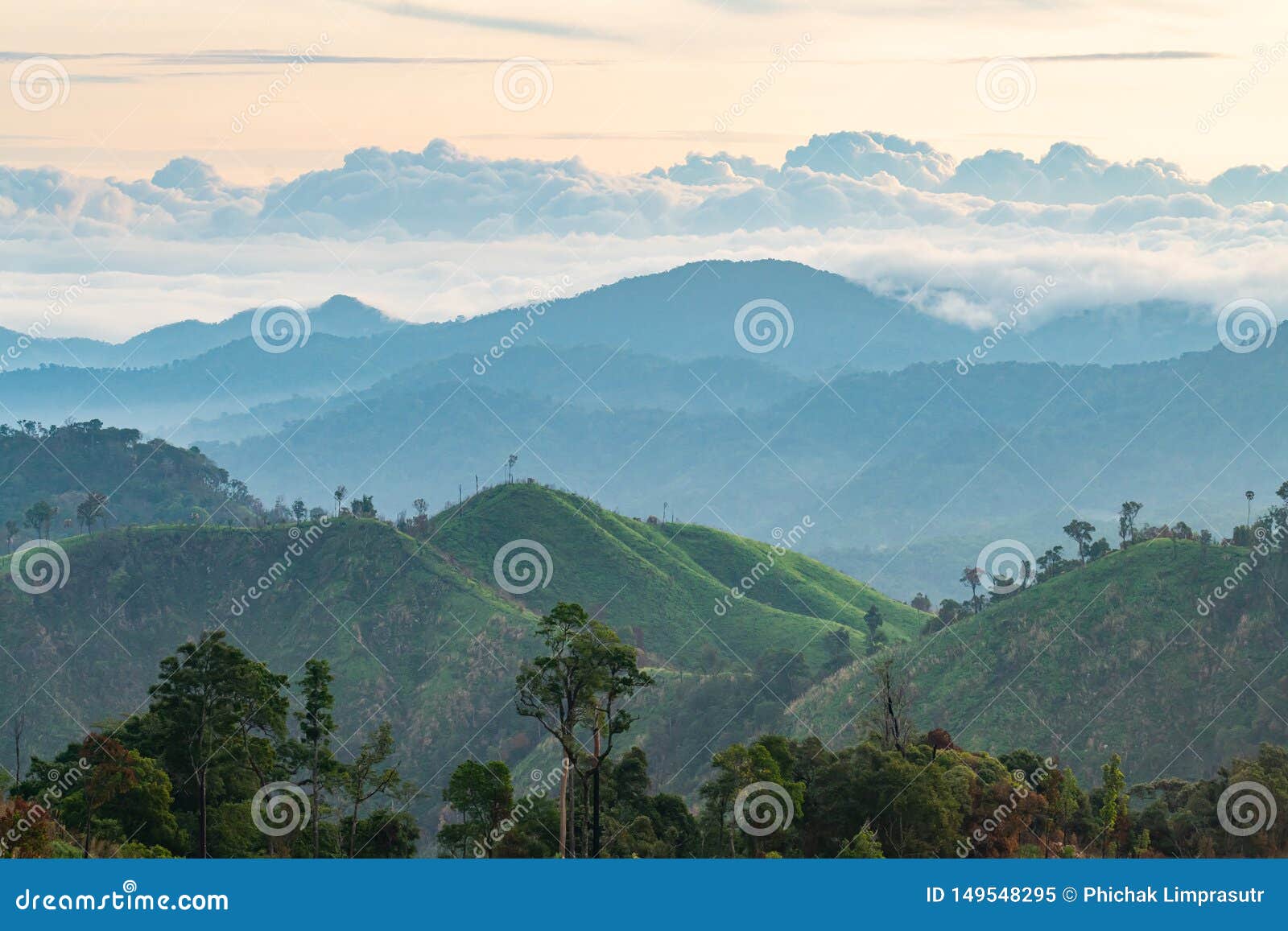 Complexity of Mountain Landscape and Tree Diversity of Forest with ...
