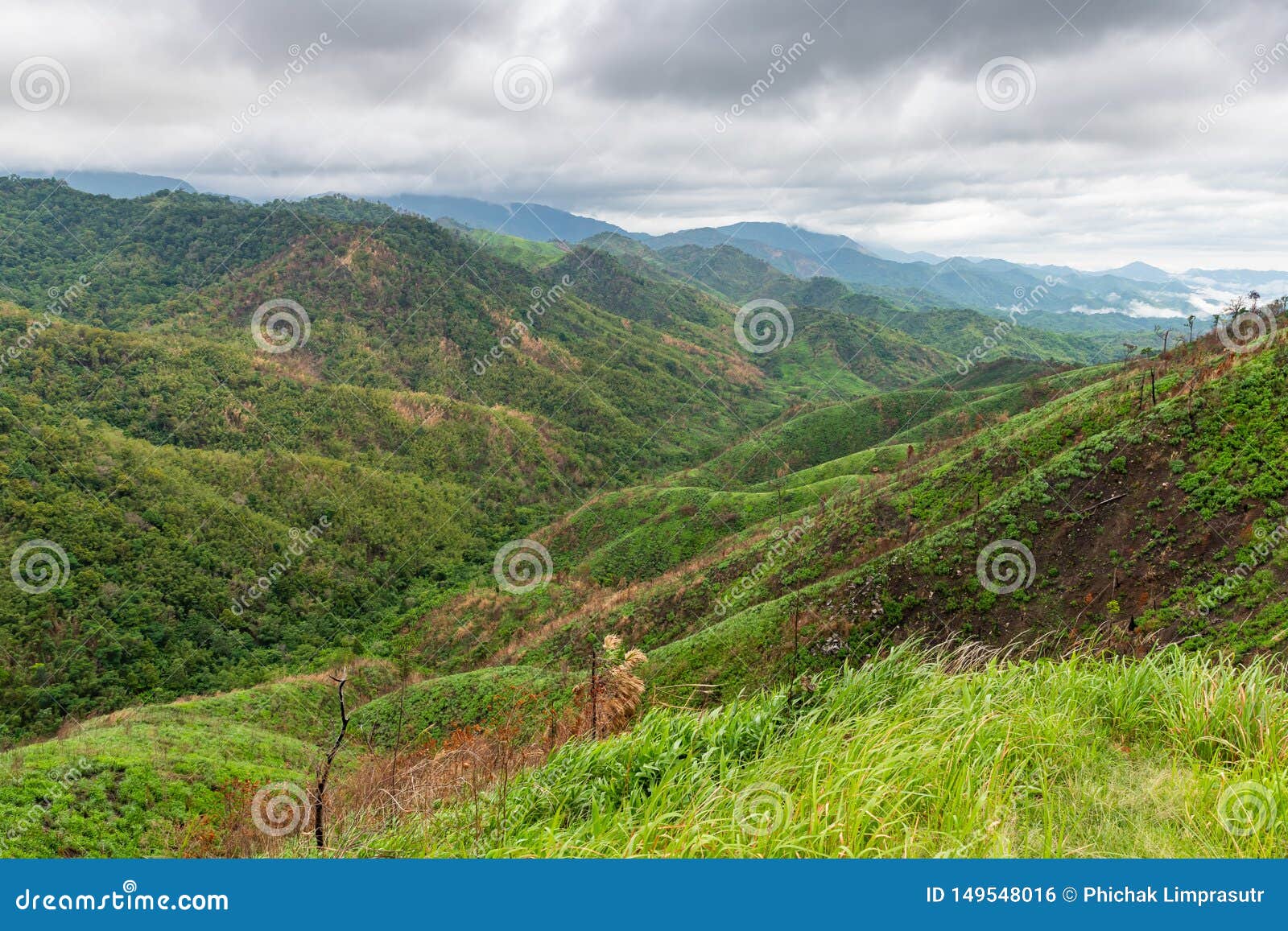 Complexity of Mountain Landscape and Tree Diversity of Forest with ...