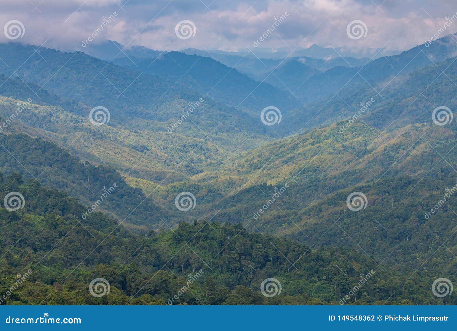 Complexity of Mountain and Valley Landscape and Tree Diversity of ...