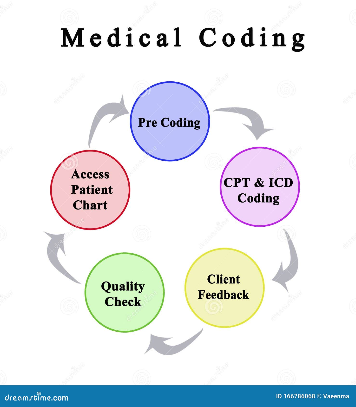 Componentes De La Codificación Médica Stock de ilustración ...