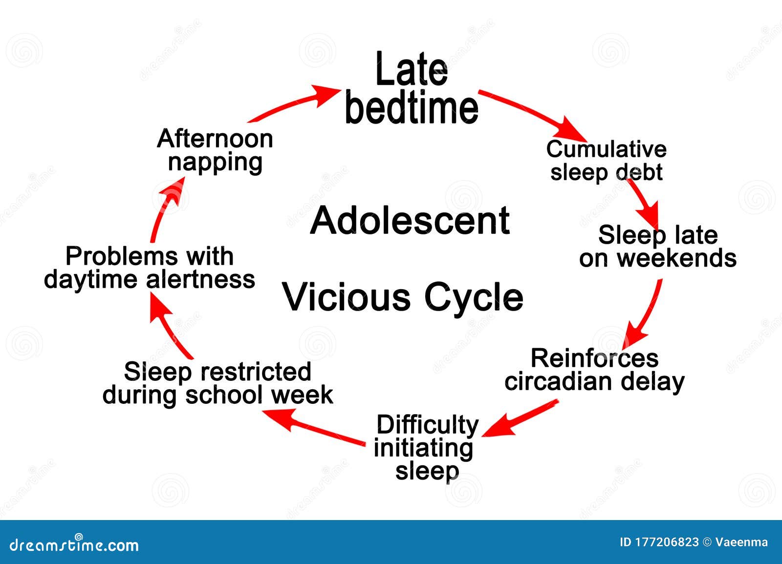 Adolescent Vicious Cycle stock illustration. Illustration of adolescent ...