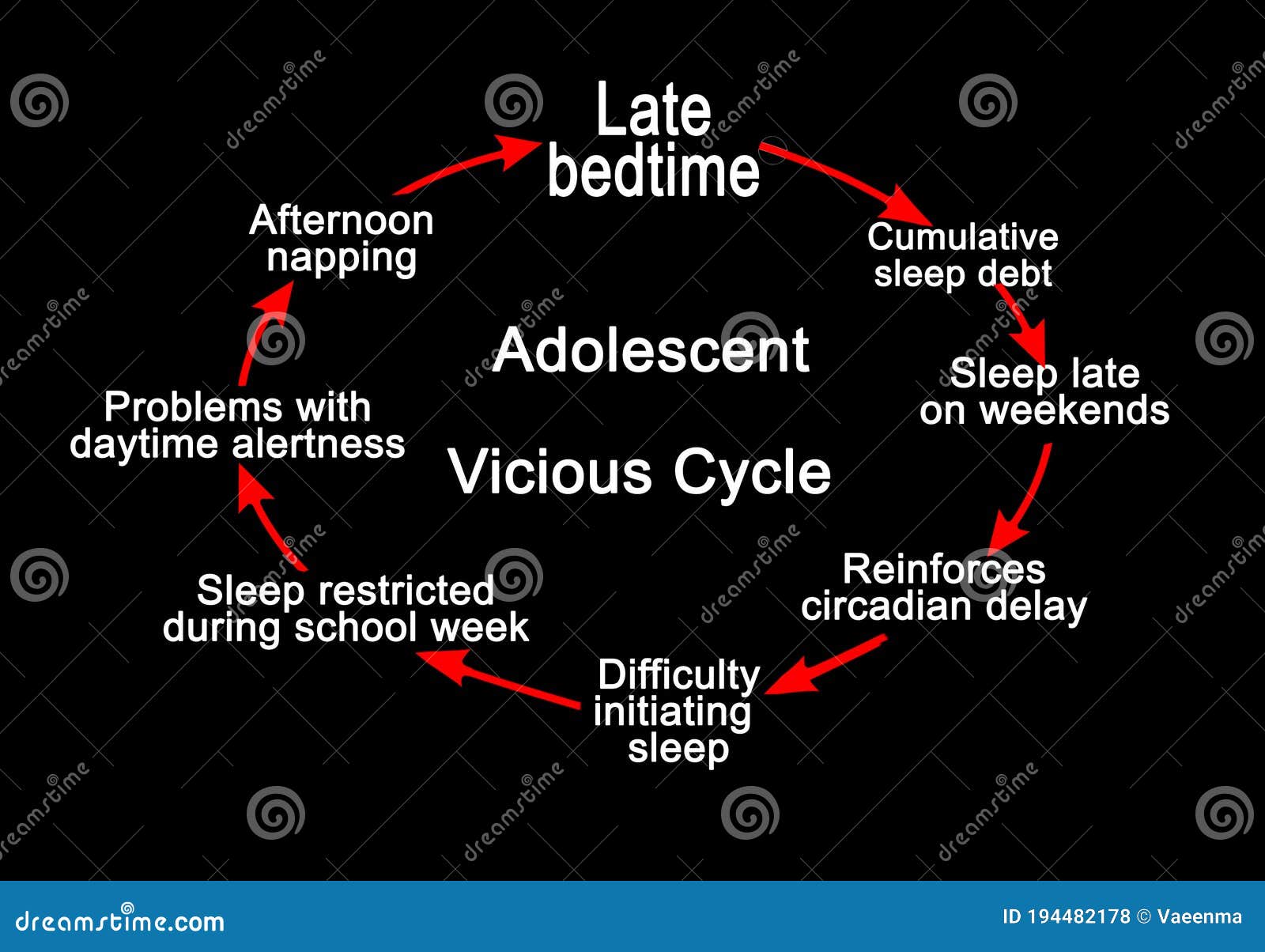 Vicious Cycle And Hardship In Life - Pictured By Word Vicious Cycle As ...