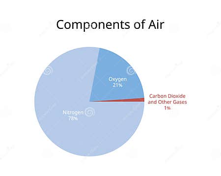 Components of Air with Oxygen, Nitrogen and Other Gases Stock Vector ...