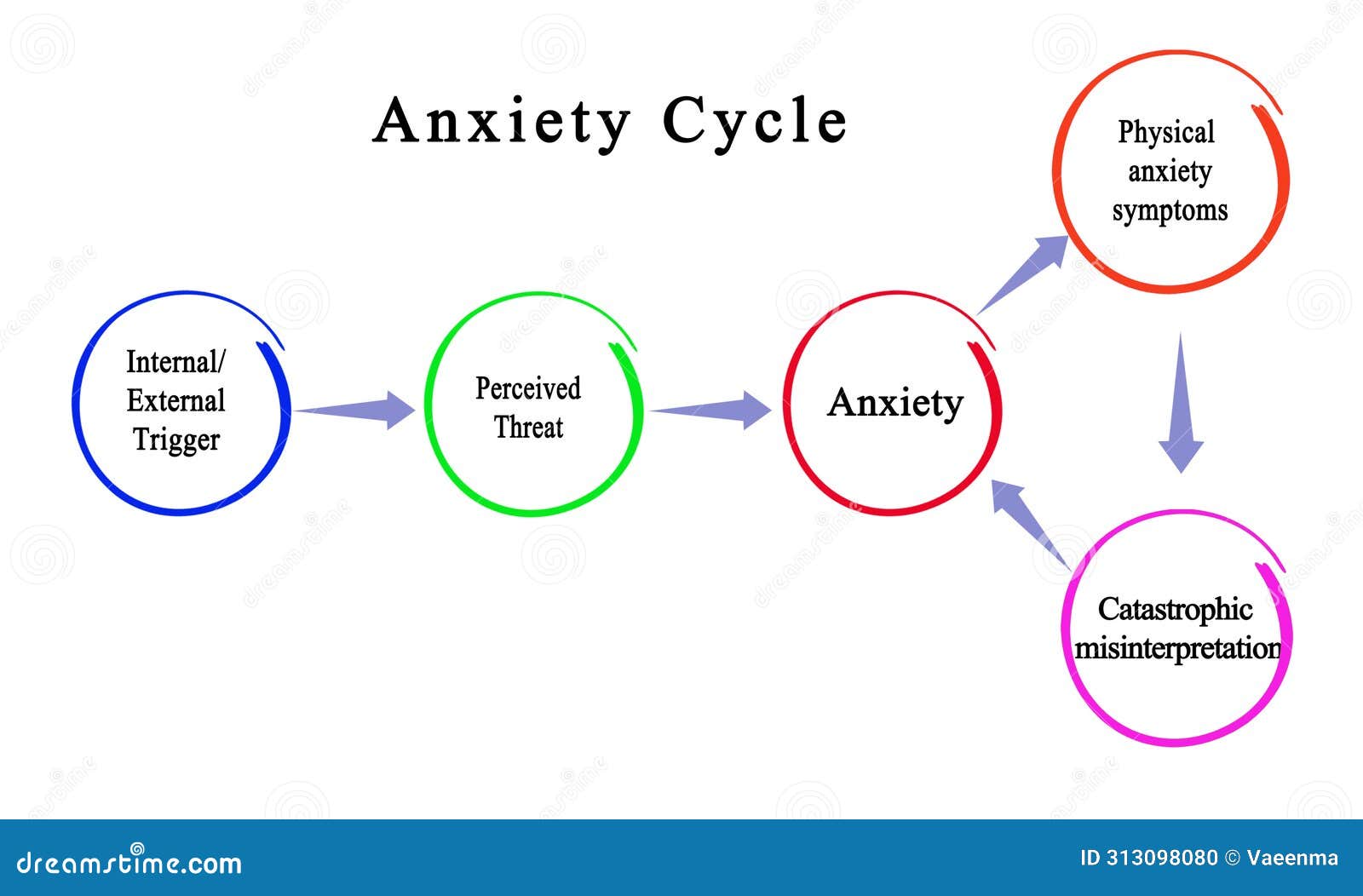 Components of Anxiety Cycle Stock Photo - Image of 3882, catastrophic ...