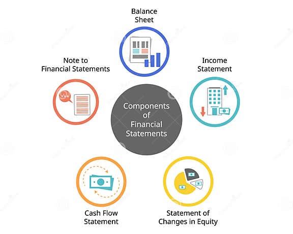 5 Components of the Basic Financial Statements Stock Vector ...